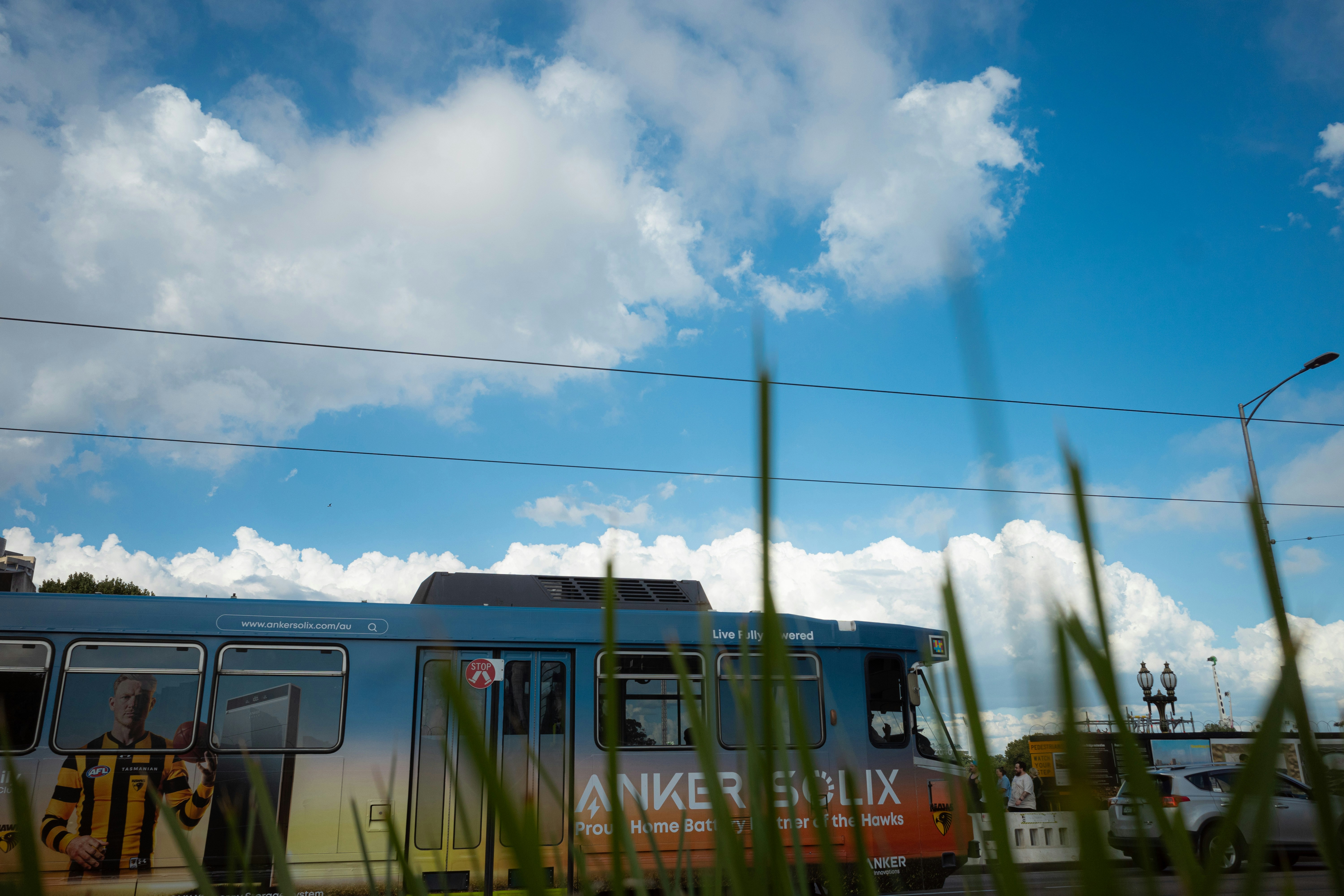 Grain of Grass, Cityline Bus
