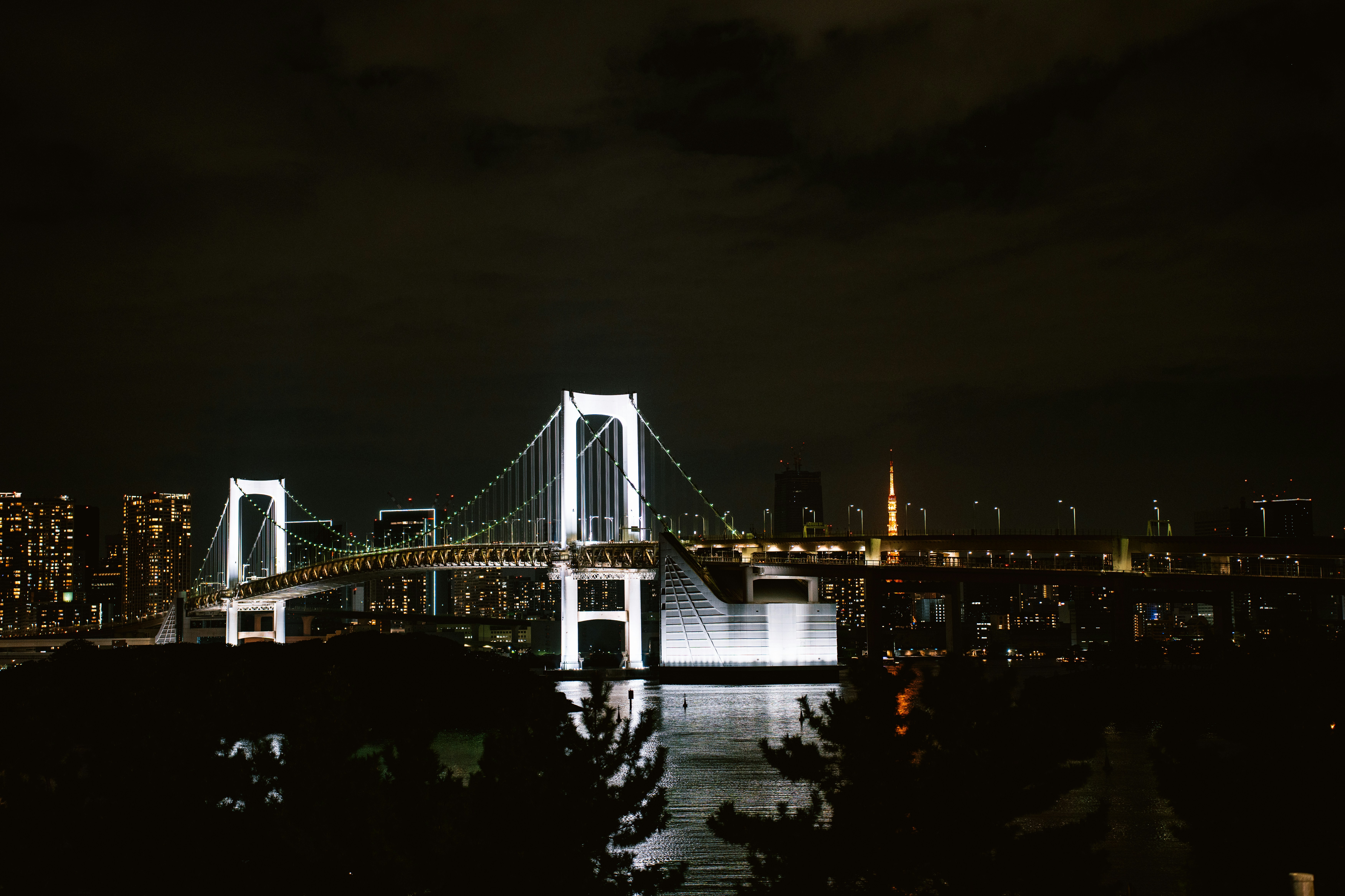 Bridge of Lights: Nighttime Skyline Harnessed in Neon Ripples