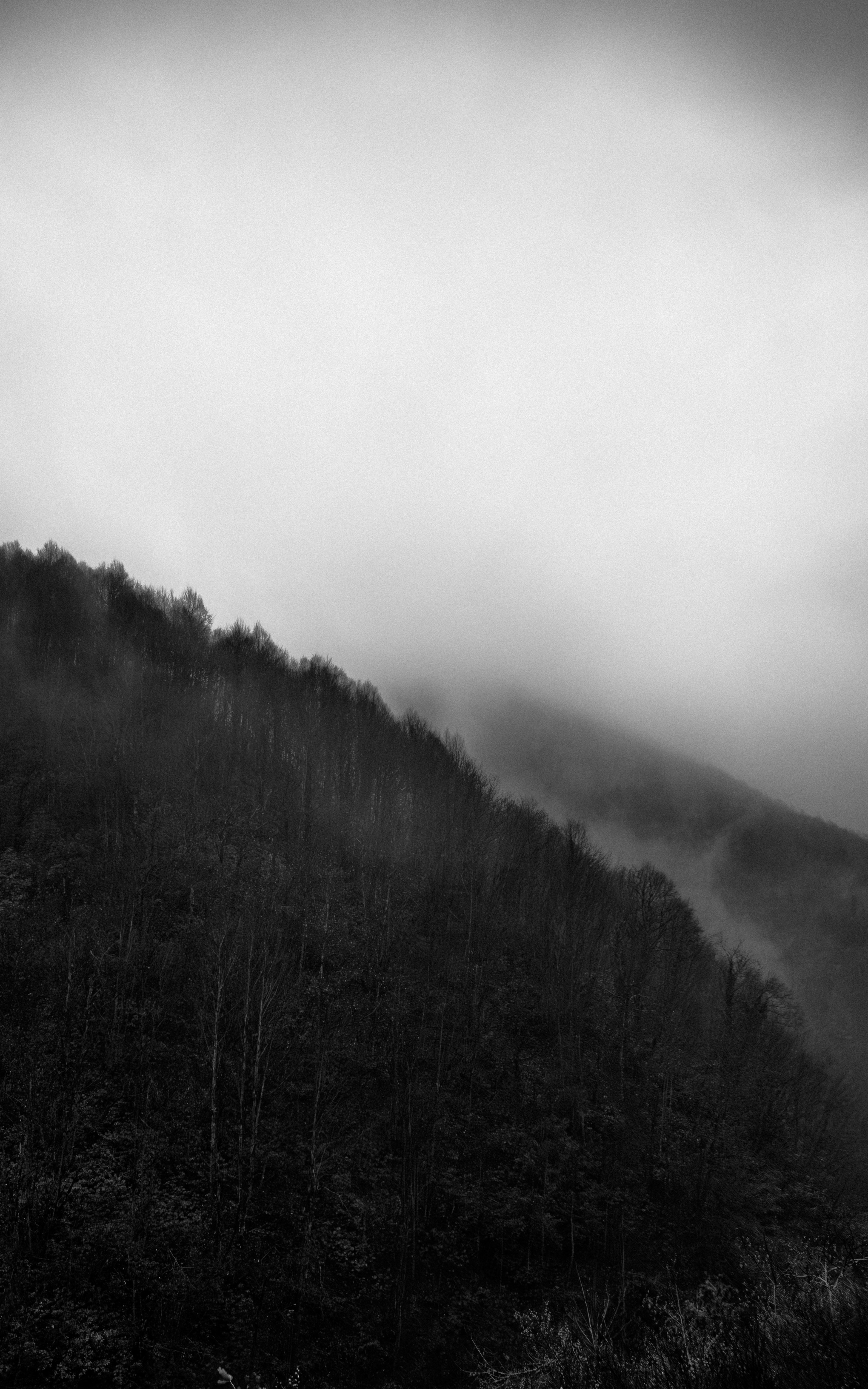Mist over the Ridge: A Monochrome Descent into Fog