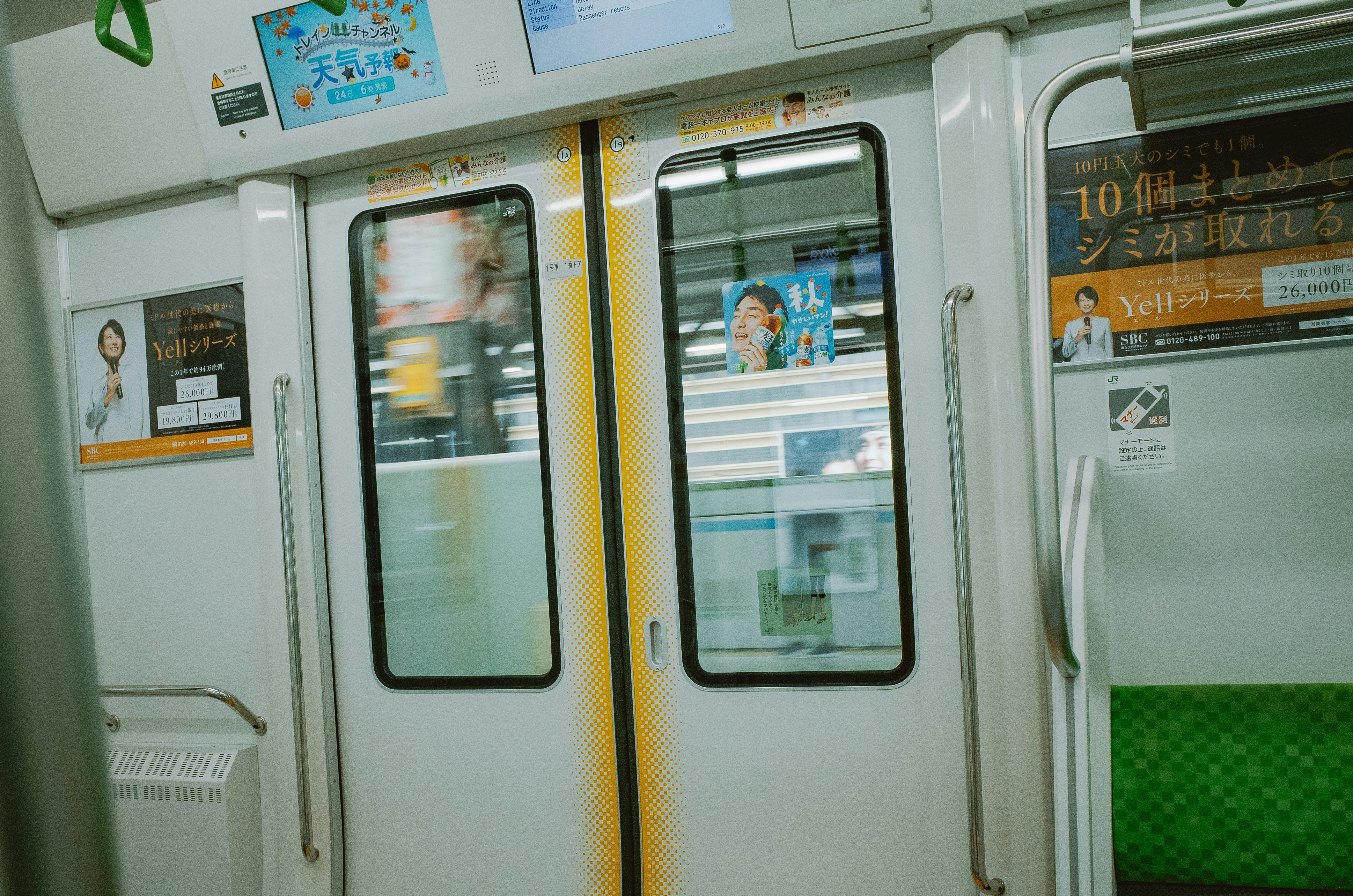 Transit Frame: Doors Halting a Quiet Moment on the Metro