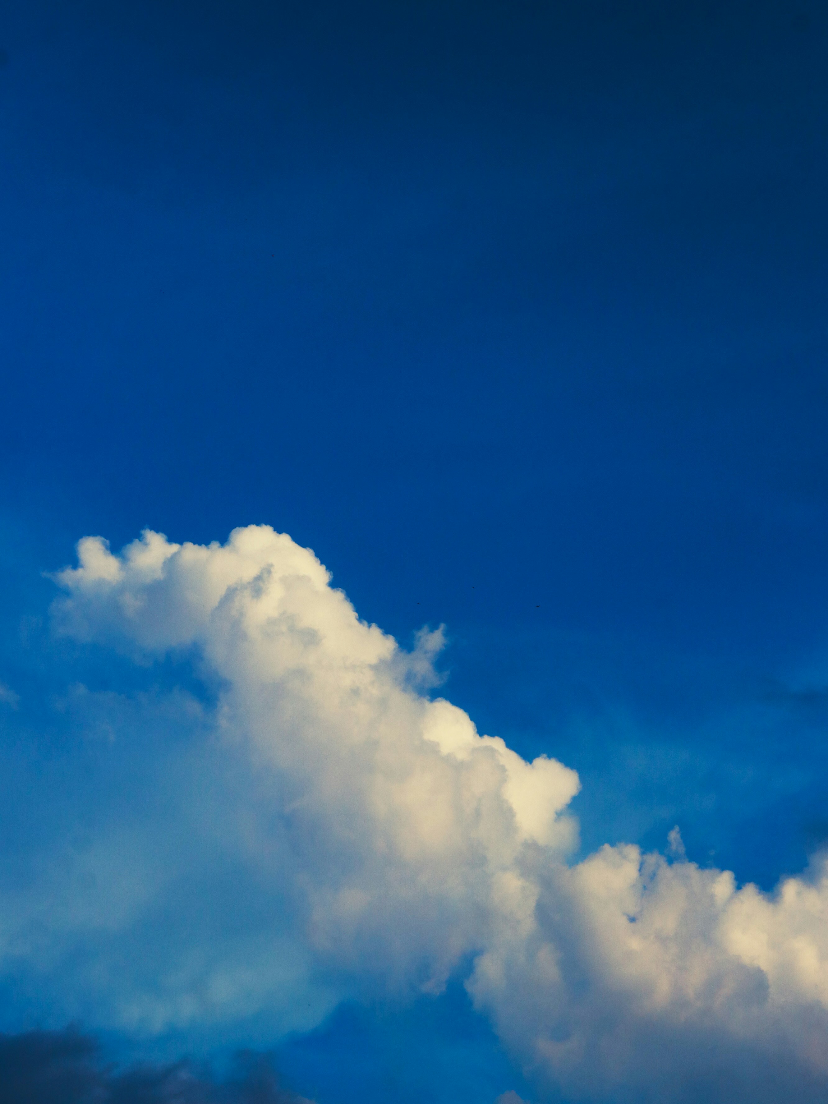 Azure Crest: A Majestic Cloud Break Over Deep Cerulean