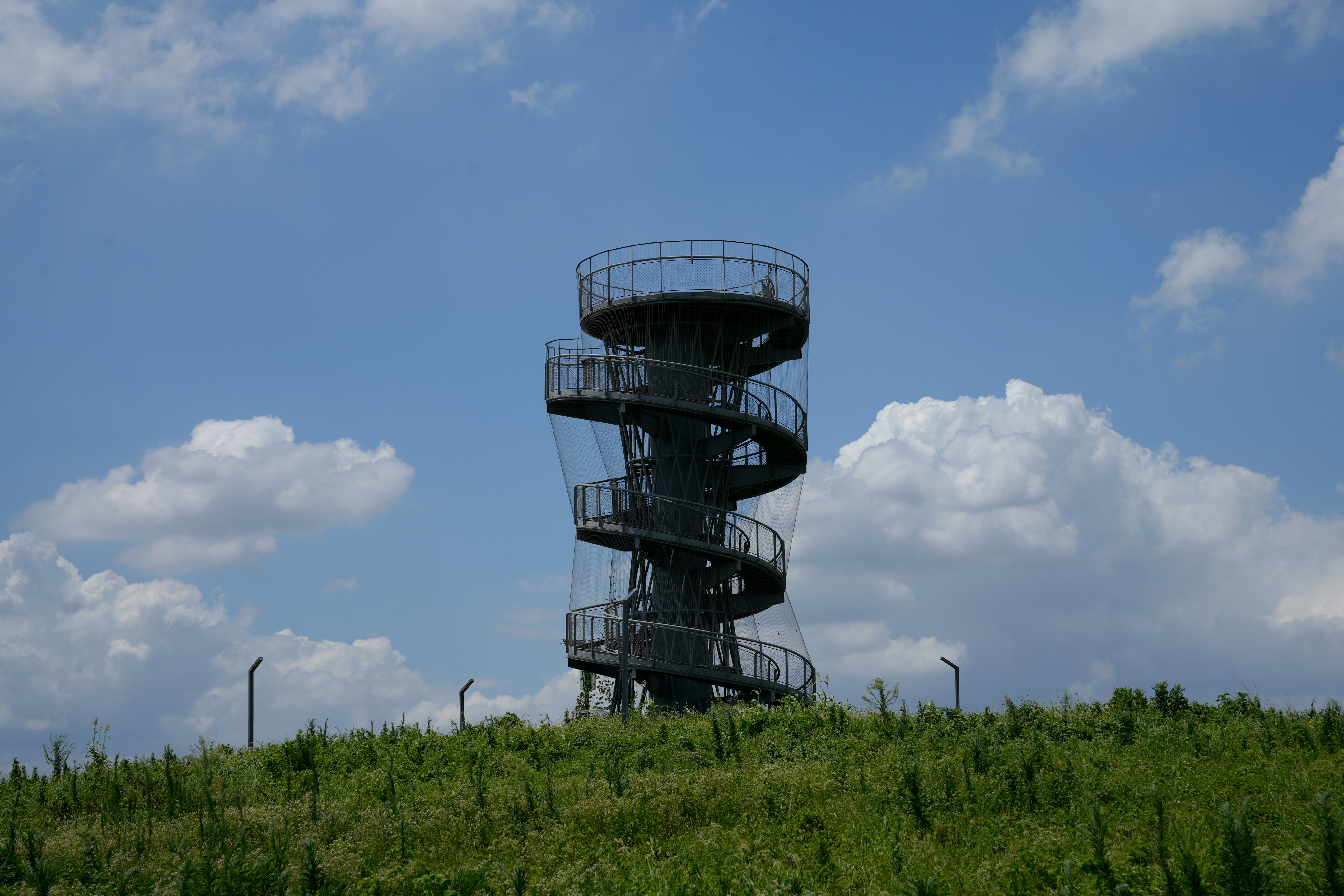 Spiral Staircase Sentinel in the Open Field