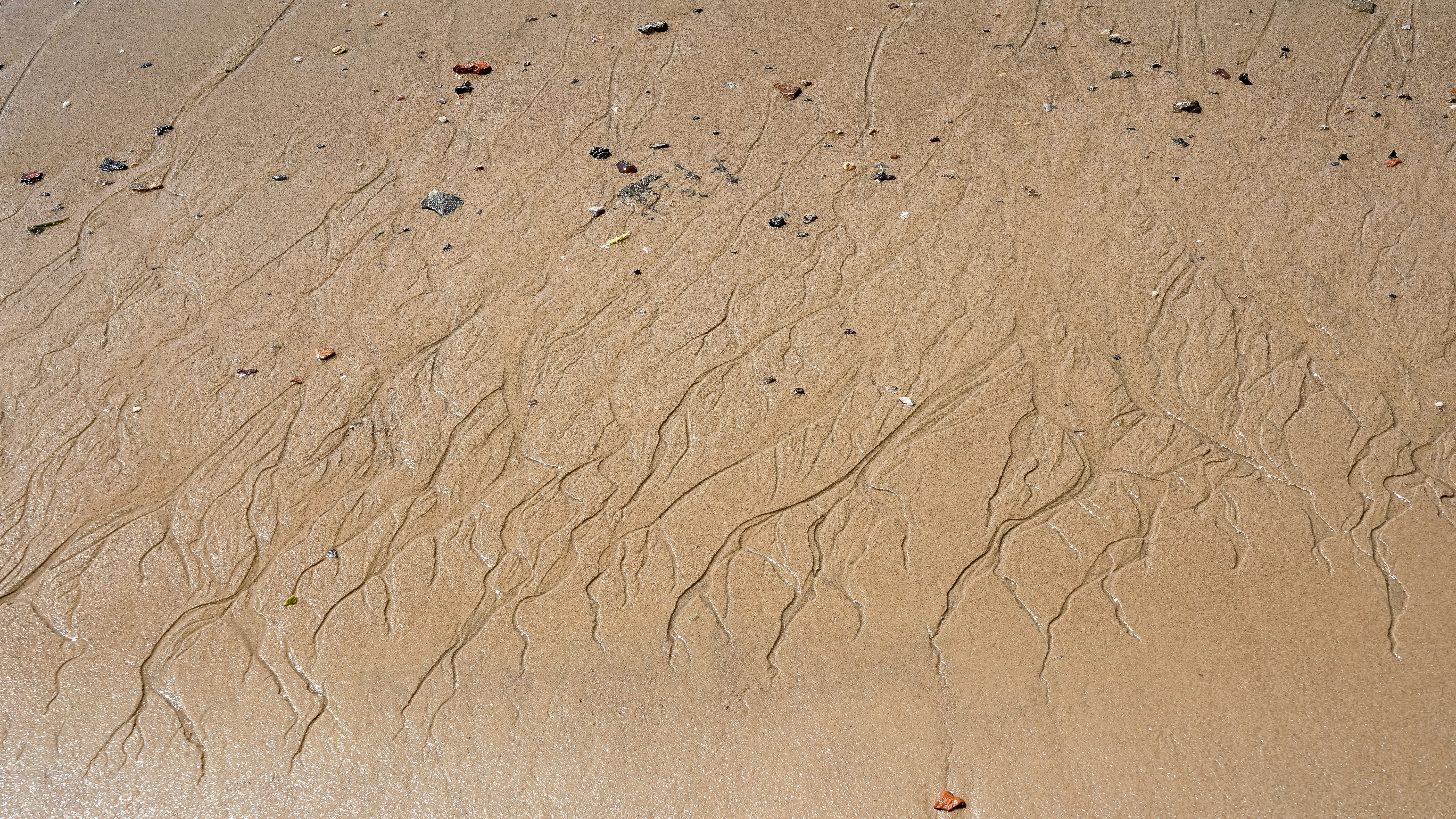Veins in the Sand: Delicate Deltas Along a Shoreline