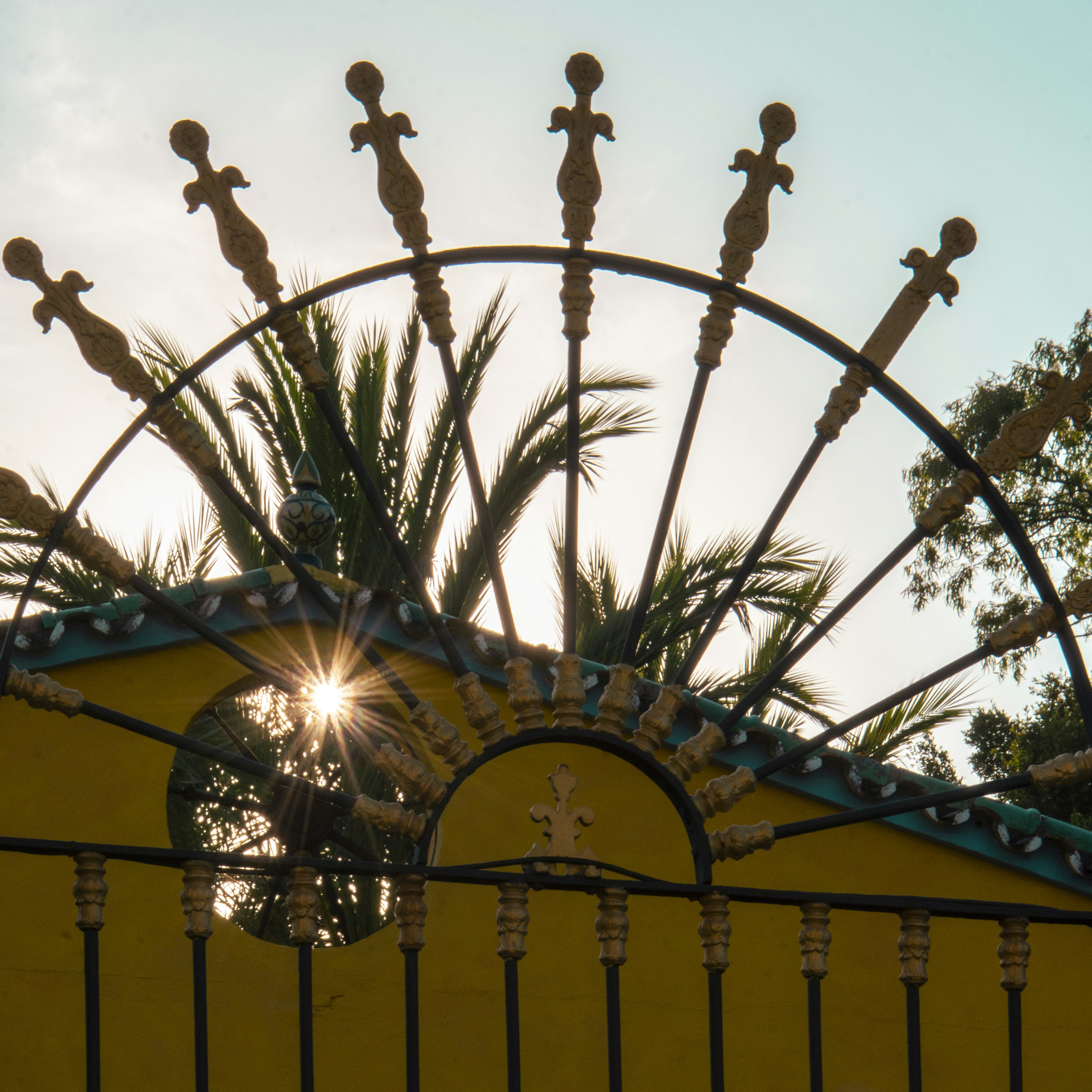 Sunburst Through the Wheel: Exotic Architecture Framed by Palm Silhouettes