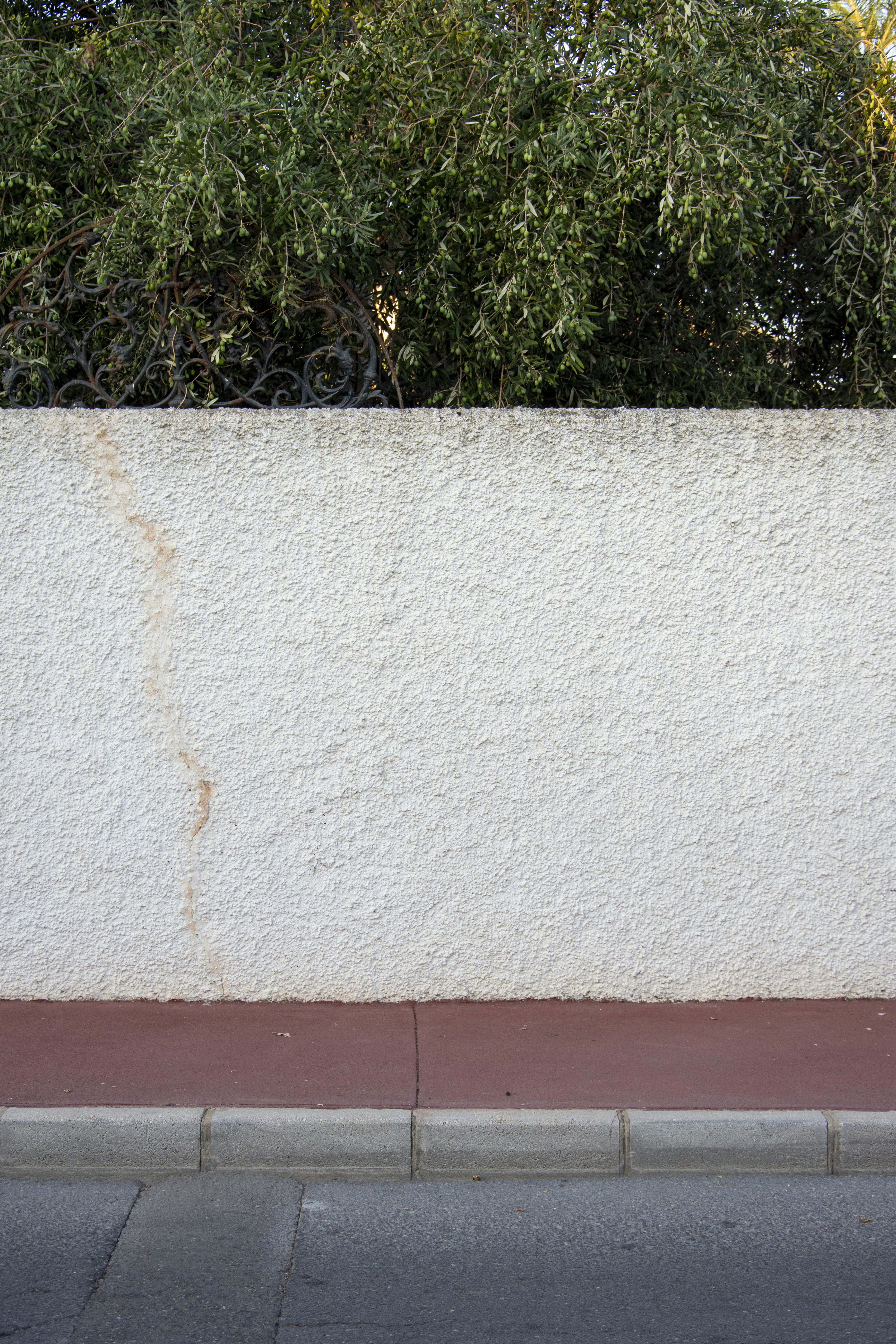 Crack in the White Wall: Quiet Urban Edge