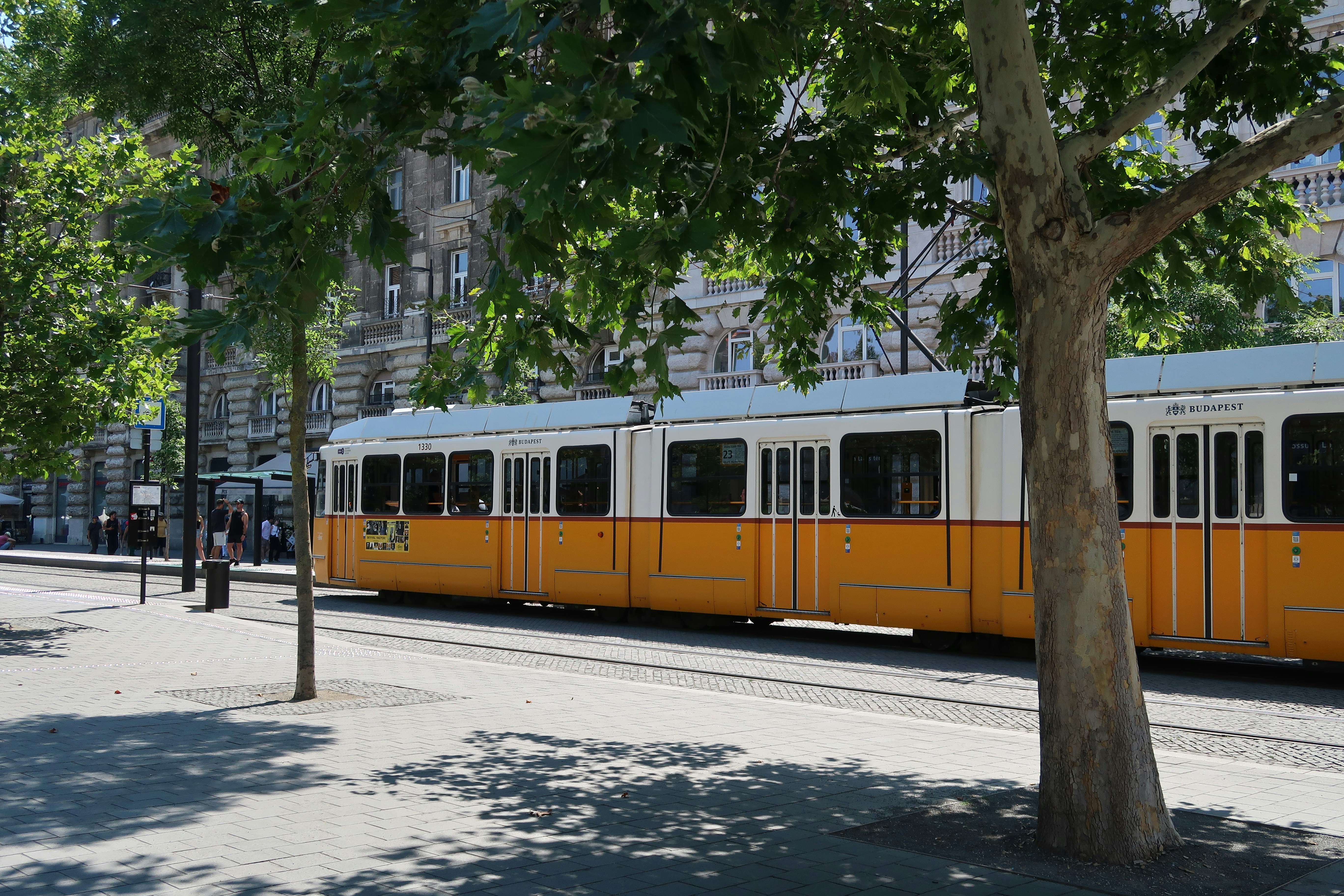 Golden Tramline under Leafy Canopy