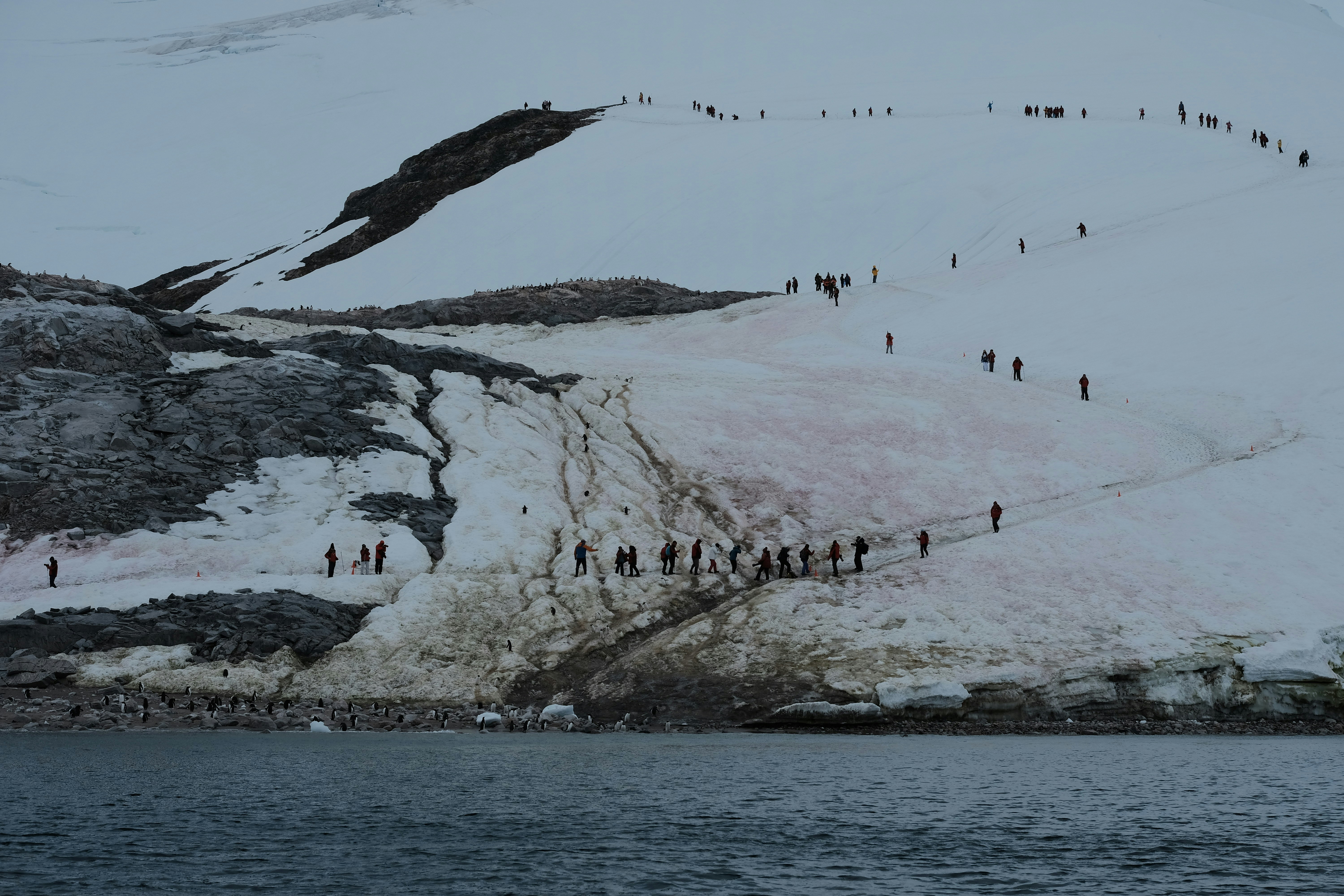 Snowbound Ascent: A Weave of Climbers on a Glacier Ridge