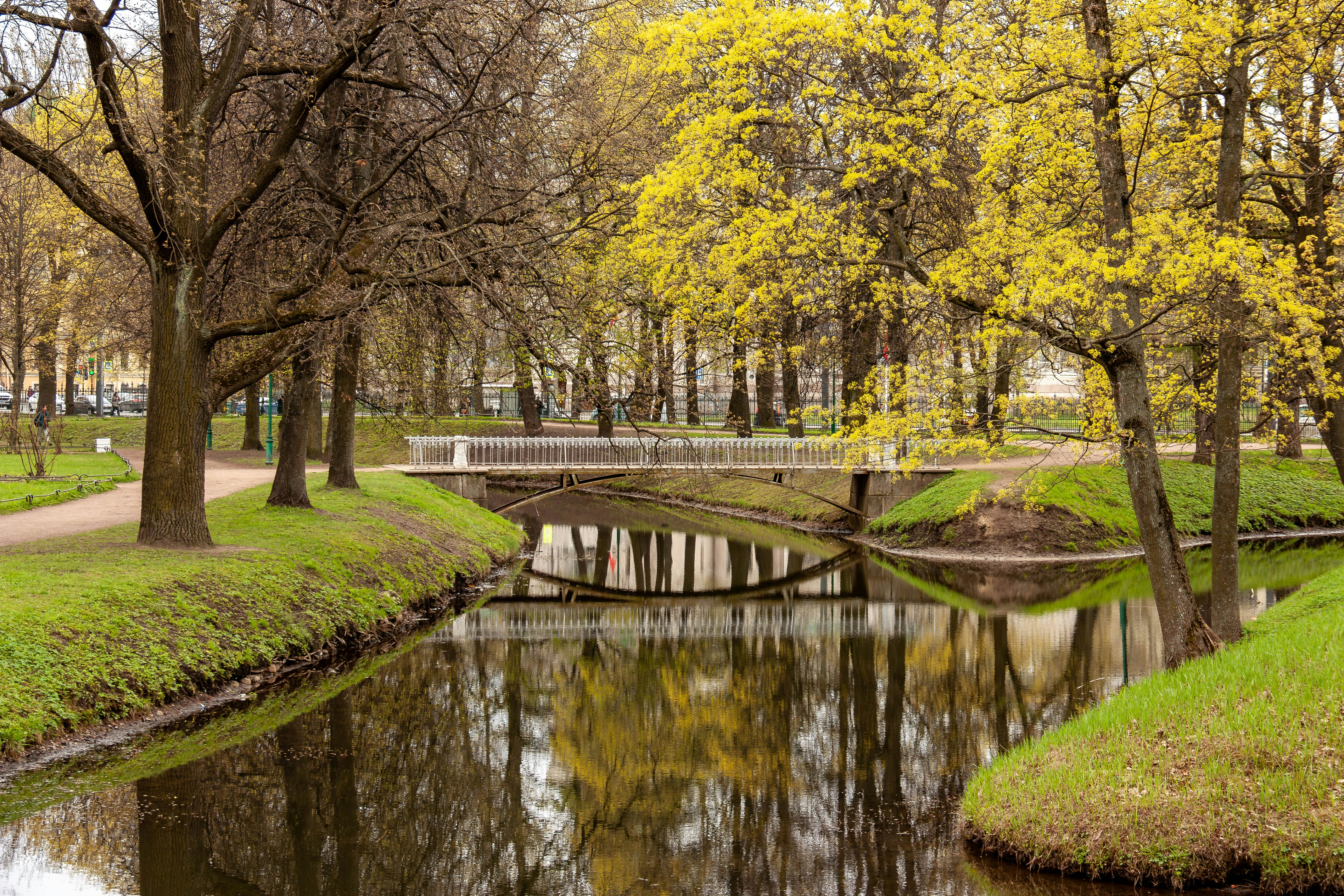 Reflections Under the Pedestrian Bridge in a Spring Park