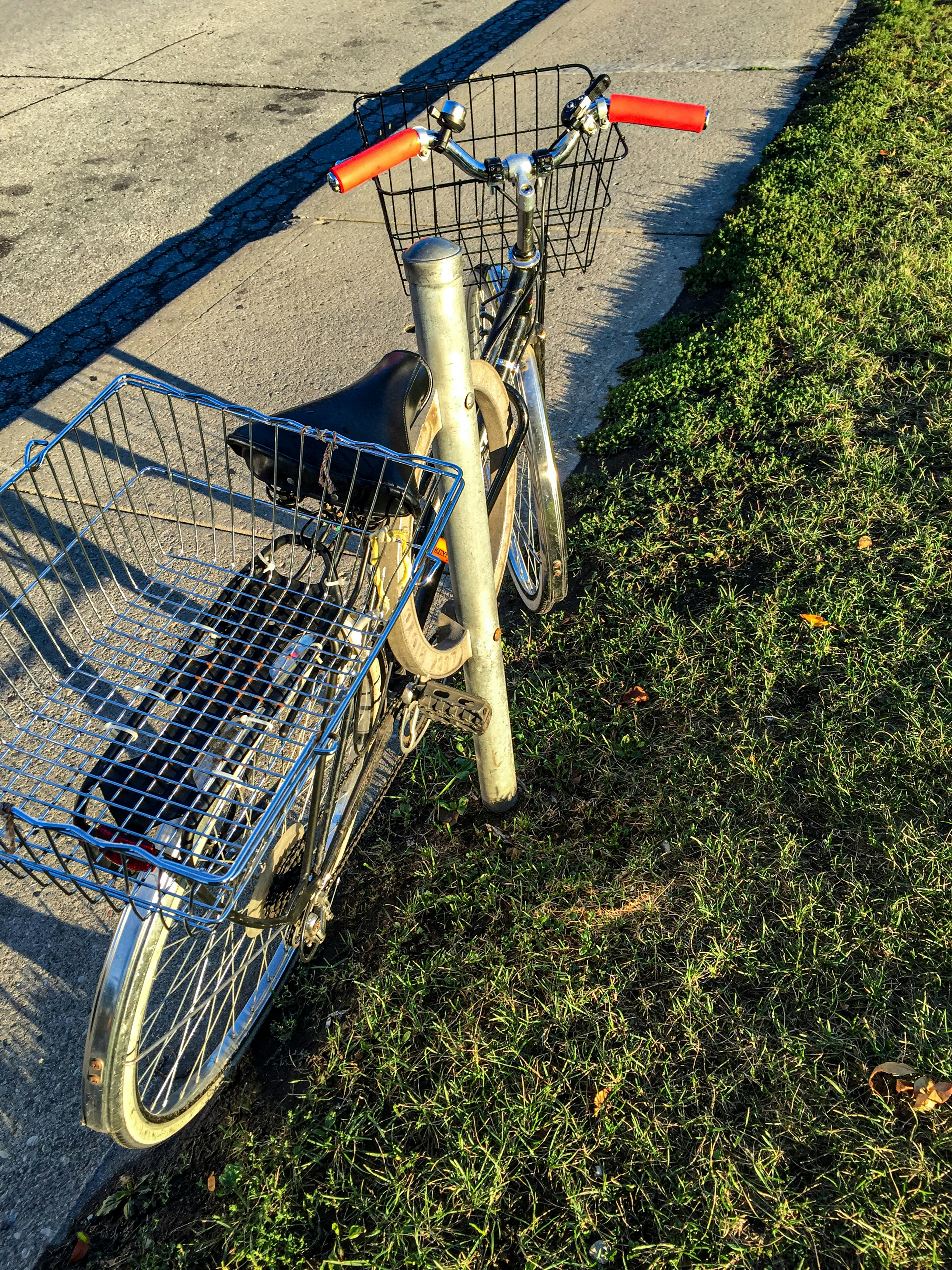 Urban Bicycle at a Park's Edge: A Tilted Morning Ride