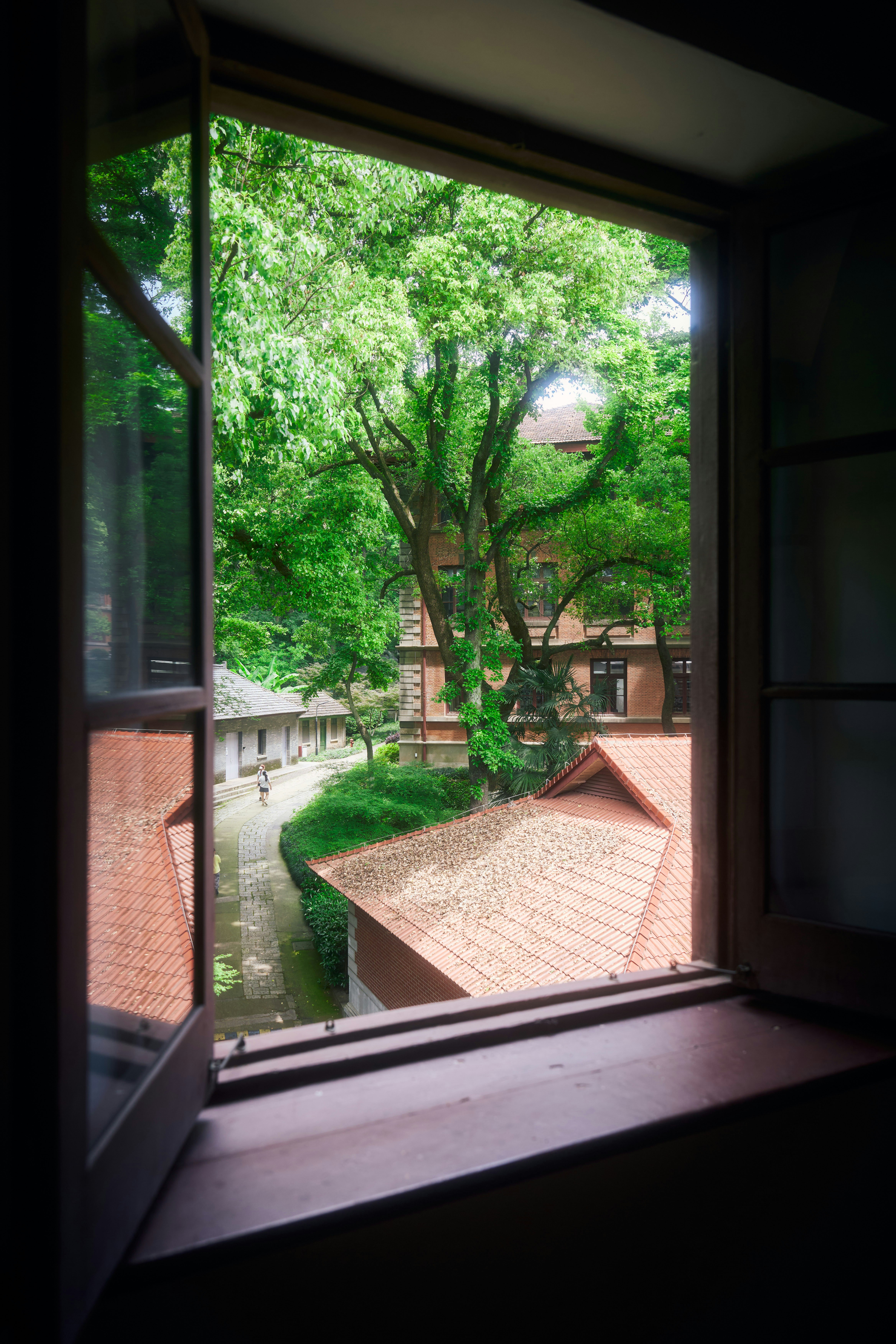 Green Courtyard Through a Framing Window