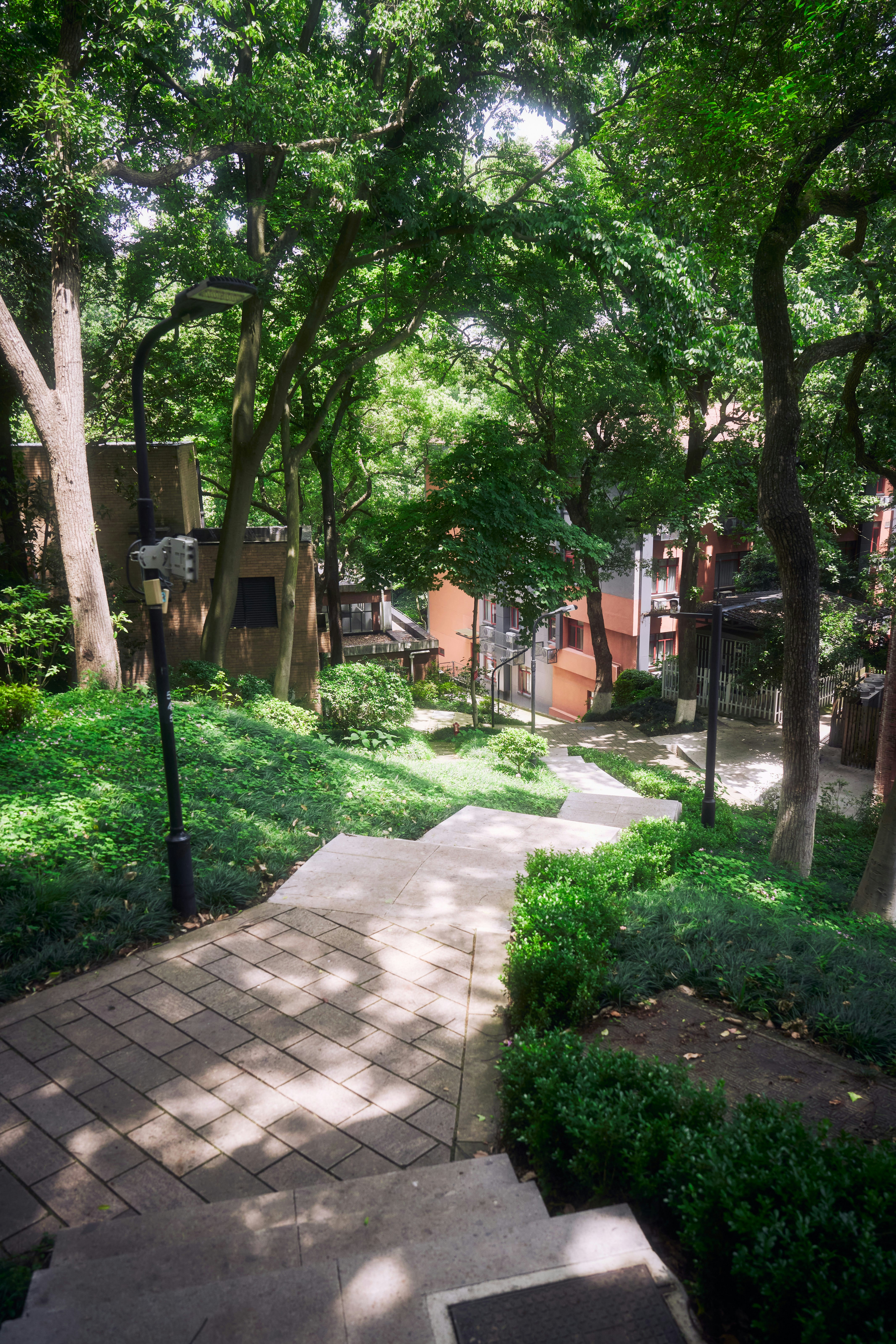Serene descent: sunlit steps through a shaded urban garden