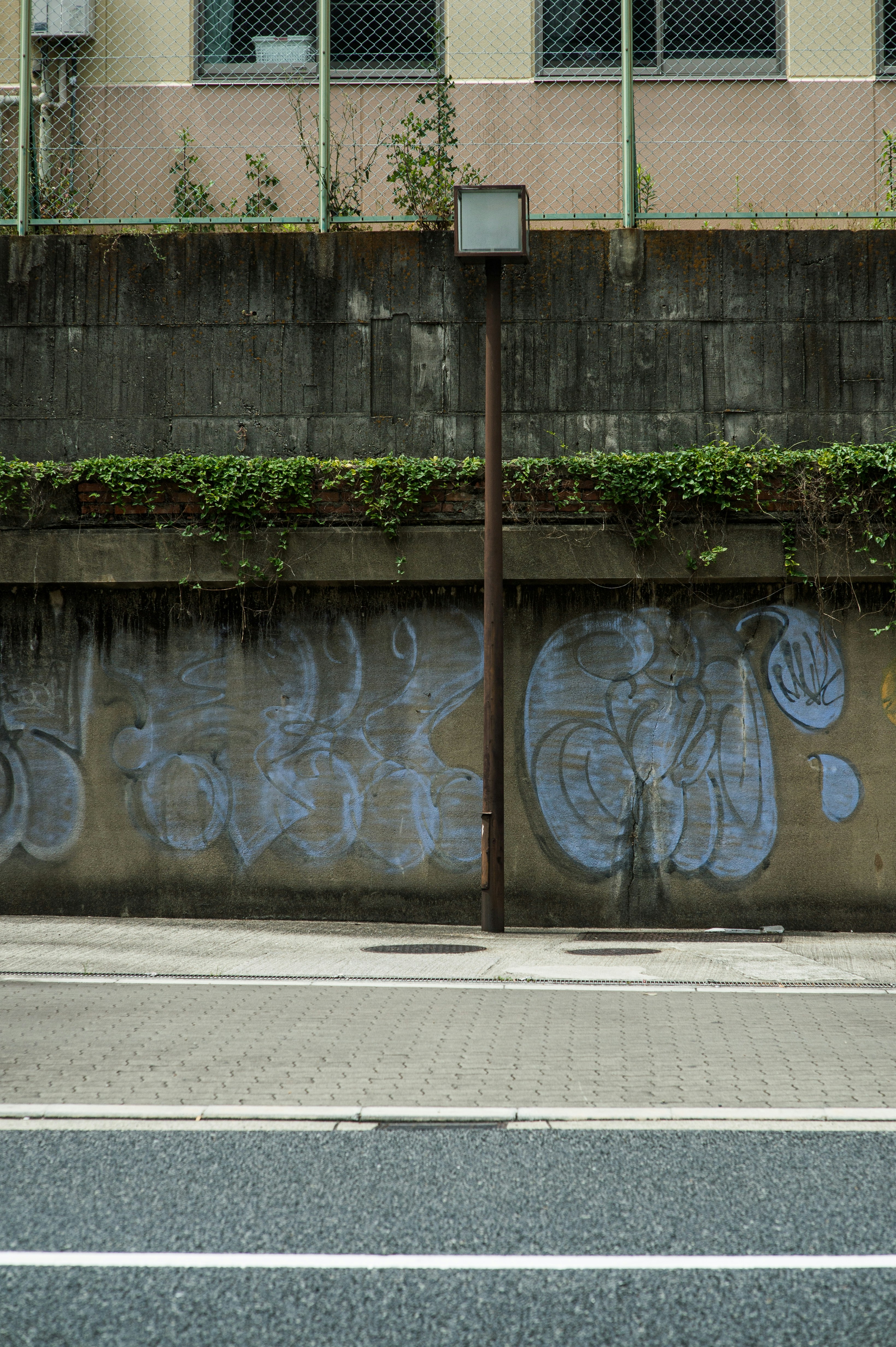 Muted Streetlight Amid Graffiti and Overgrown Edges