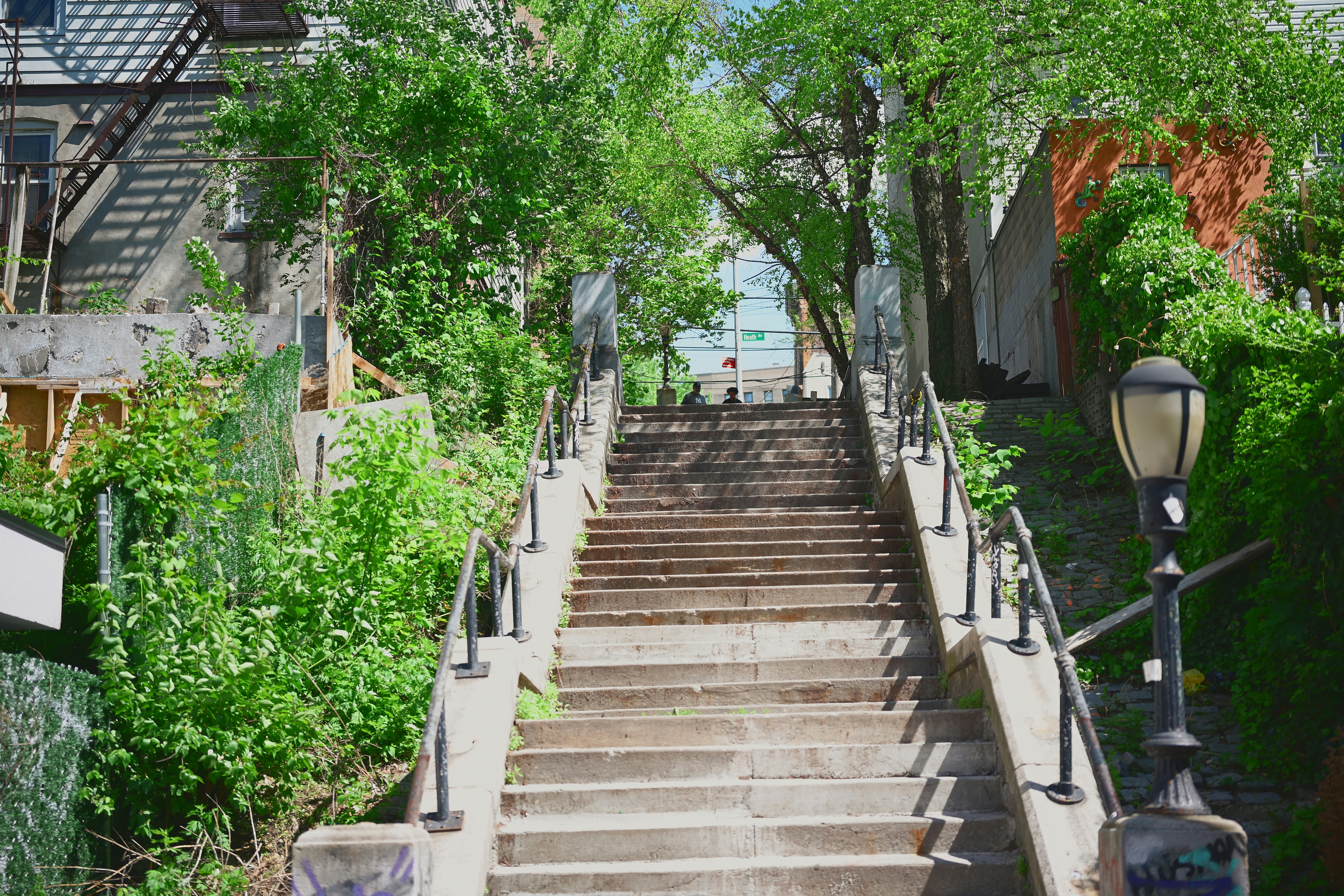 Urban Staircase to Light: A Green Corridor Bounded by Railings and Trees