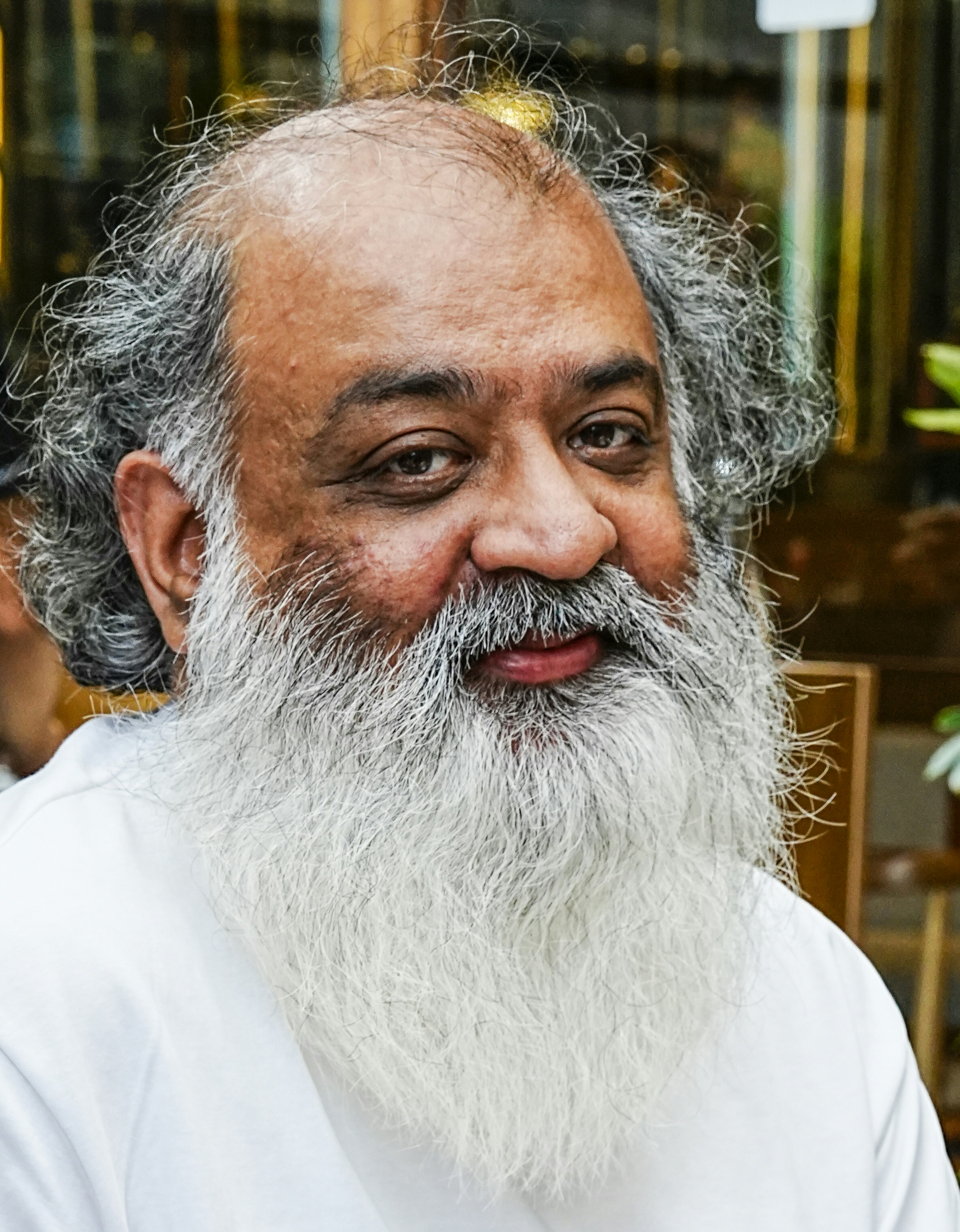 Gentle Gaze and Silver Wisdom: A Portrait with Quiet Dignity