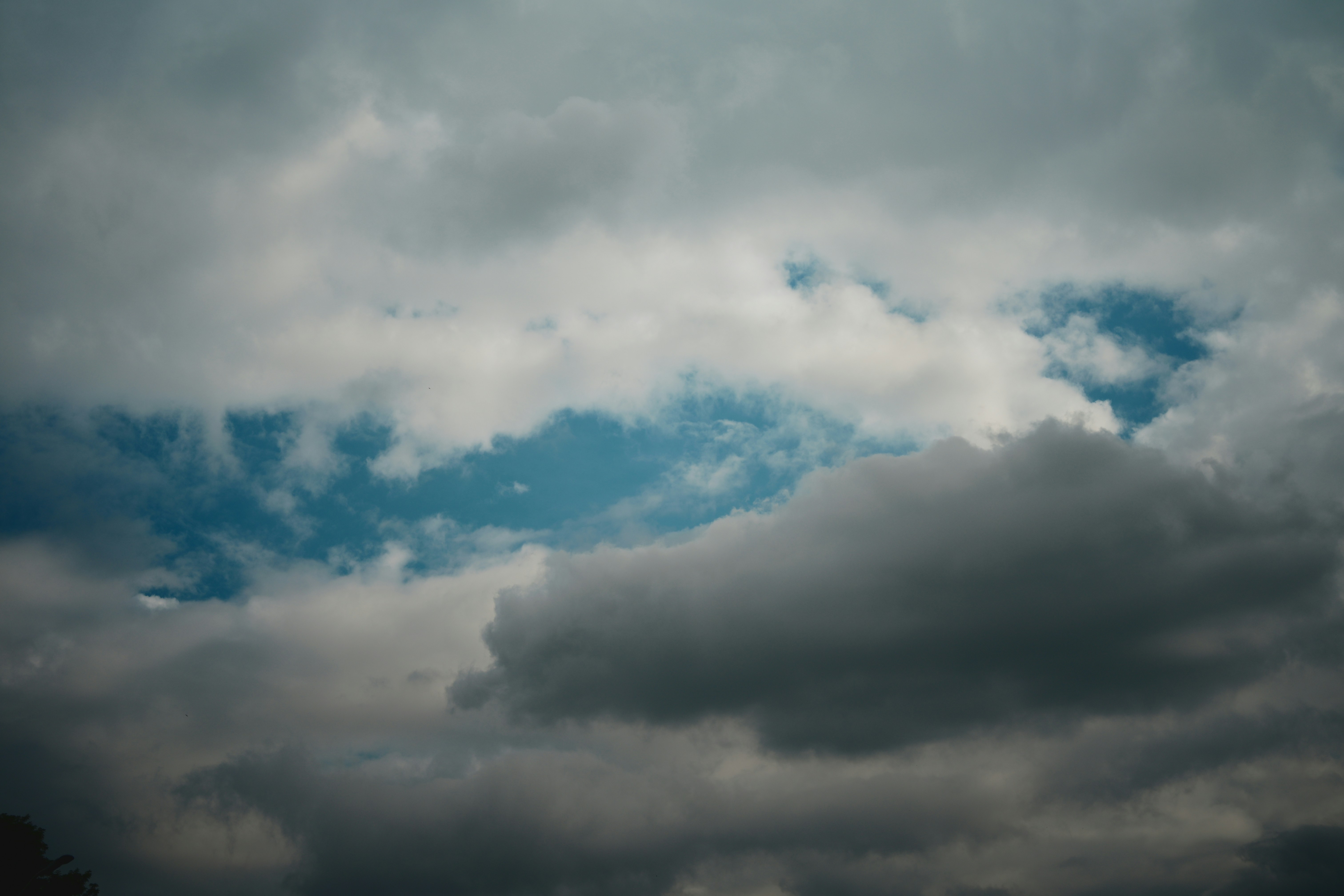 Skyline of Clouds: A Patchwork of Sunlit Gaps