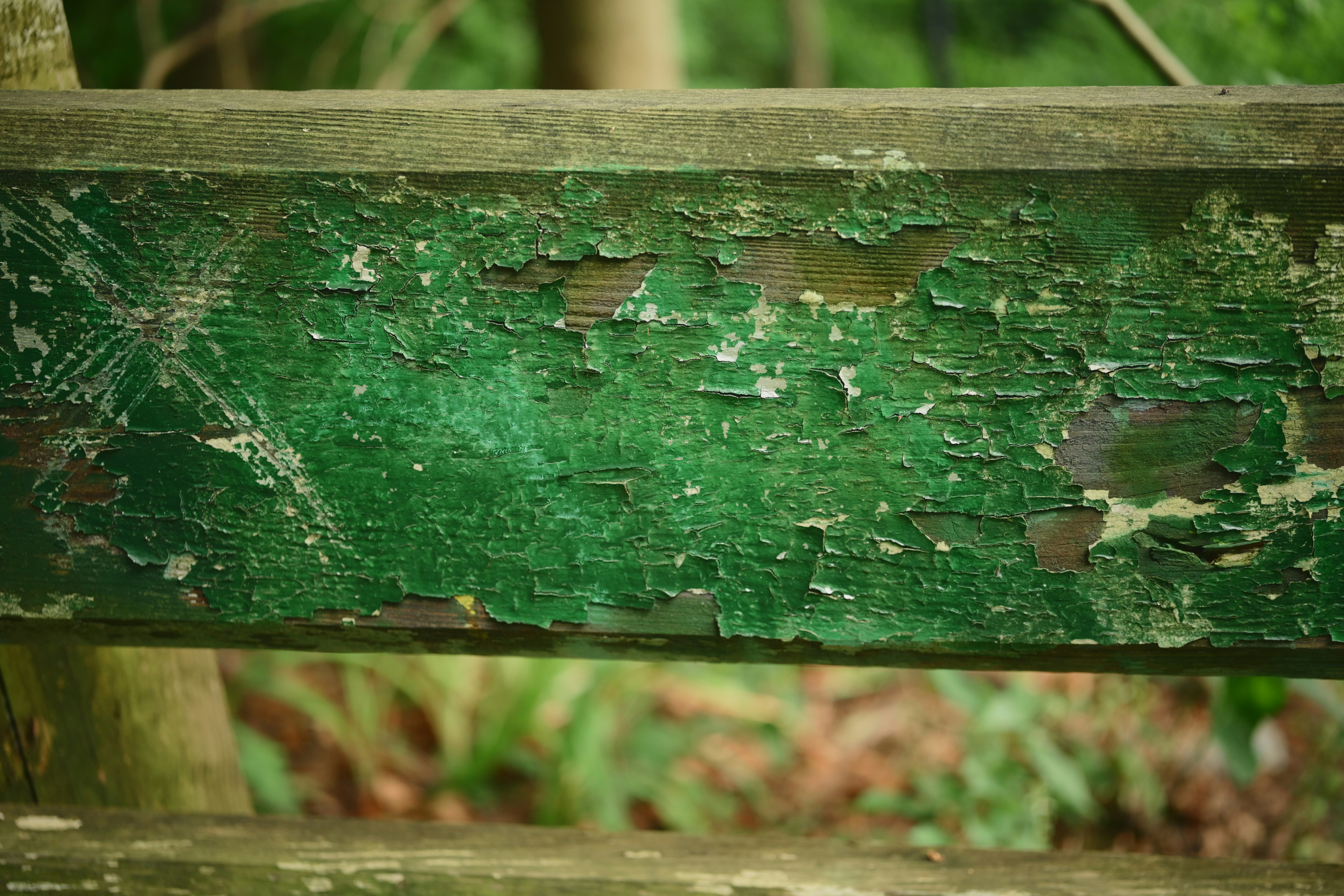 Weathered Green: Peeling Paint on a Rustic Bench