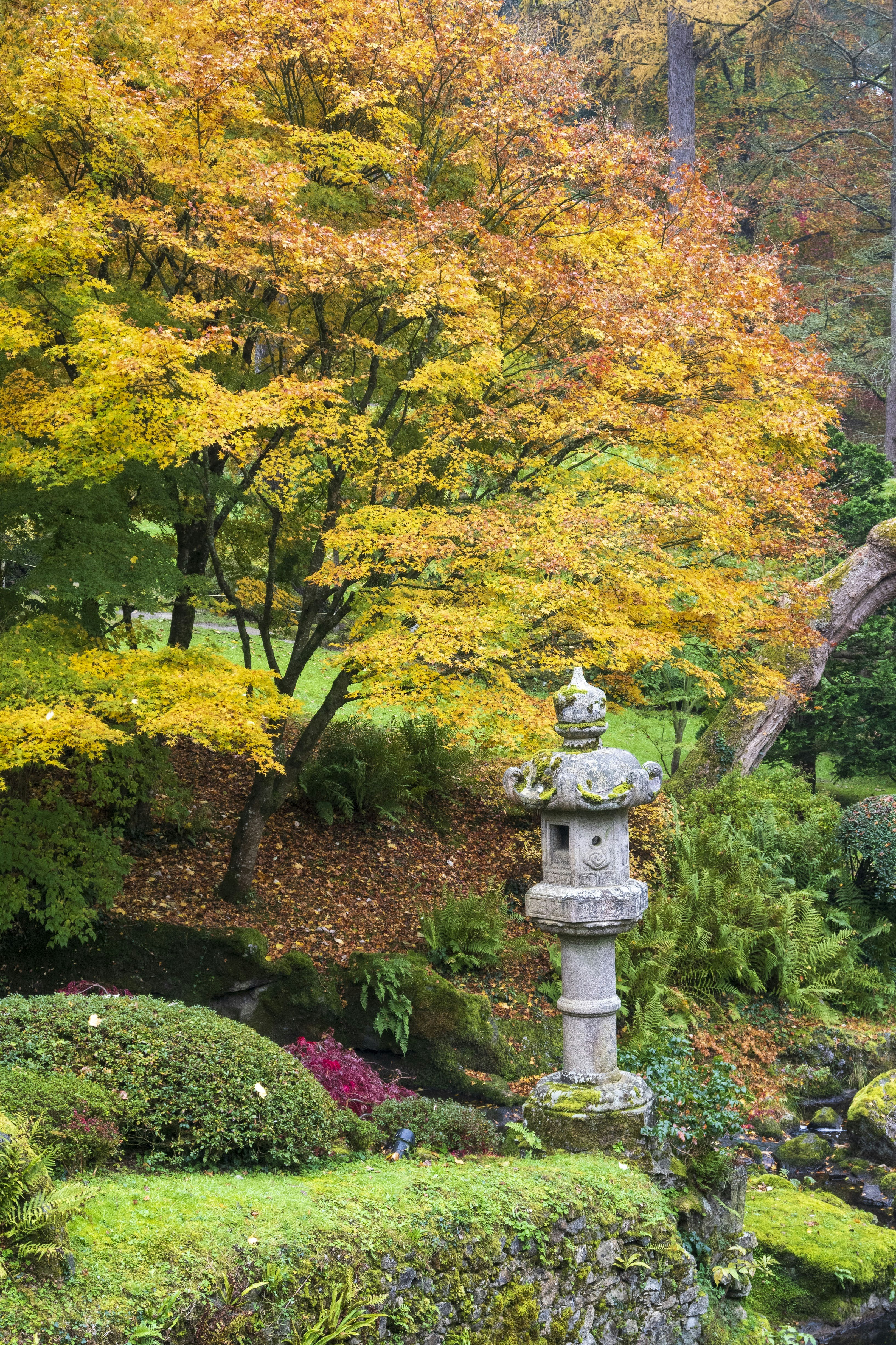 Autumn Lantern in a Tranquil Japanese Garden