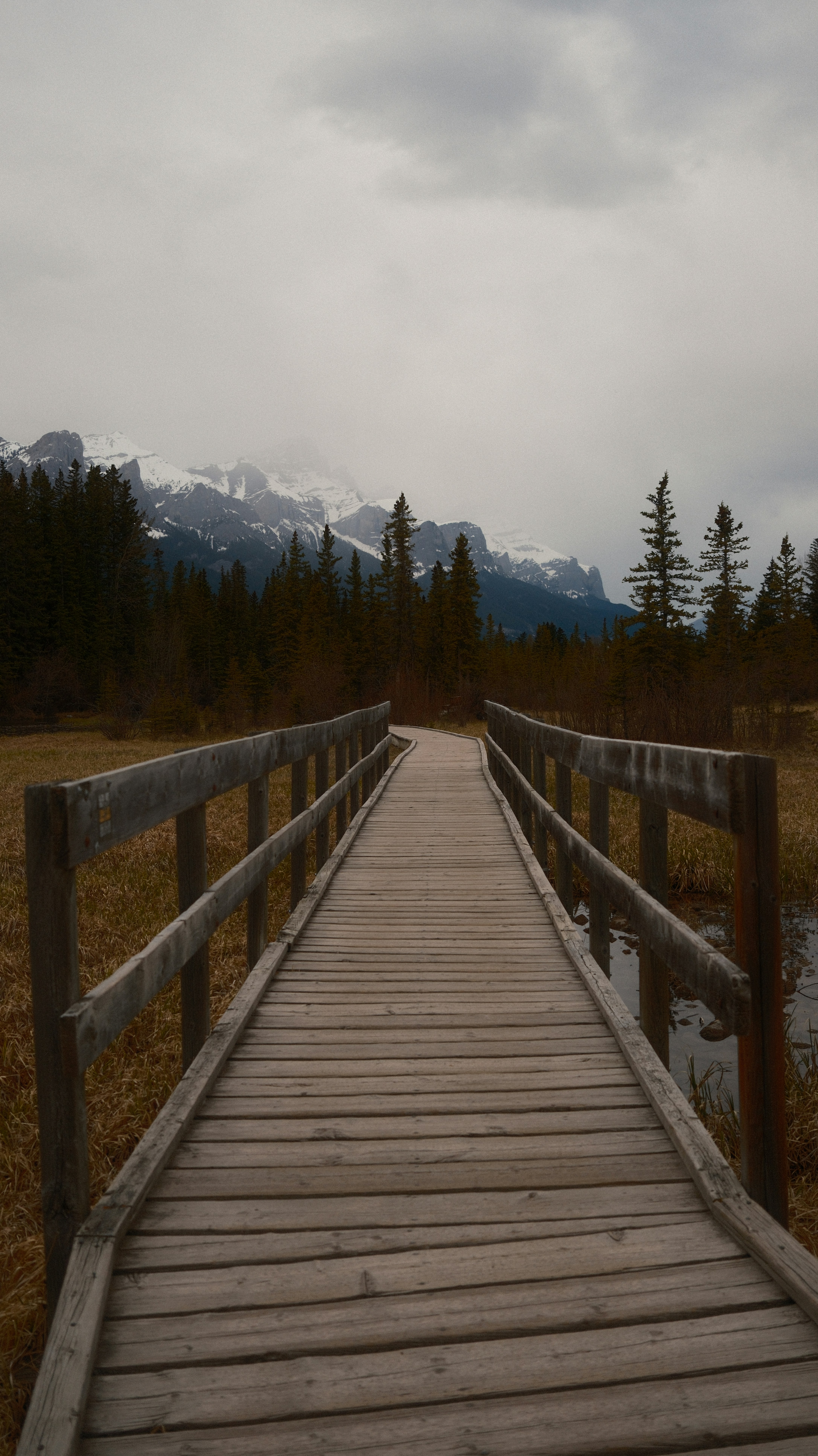 Echoes of the Long Walk: A Weathered Boardwalk into Mountain Mists