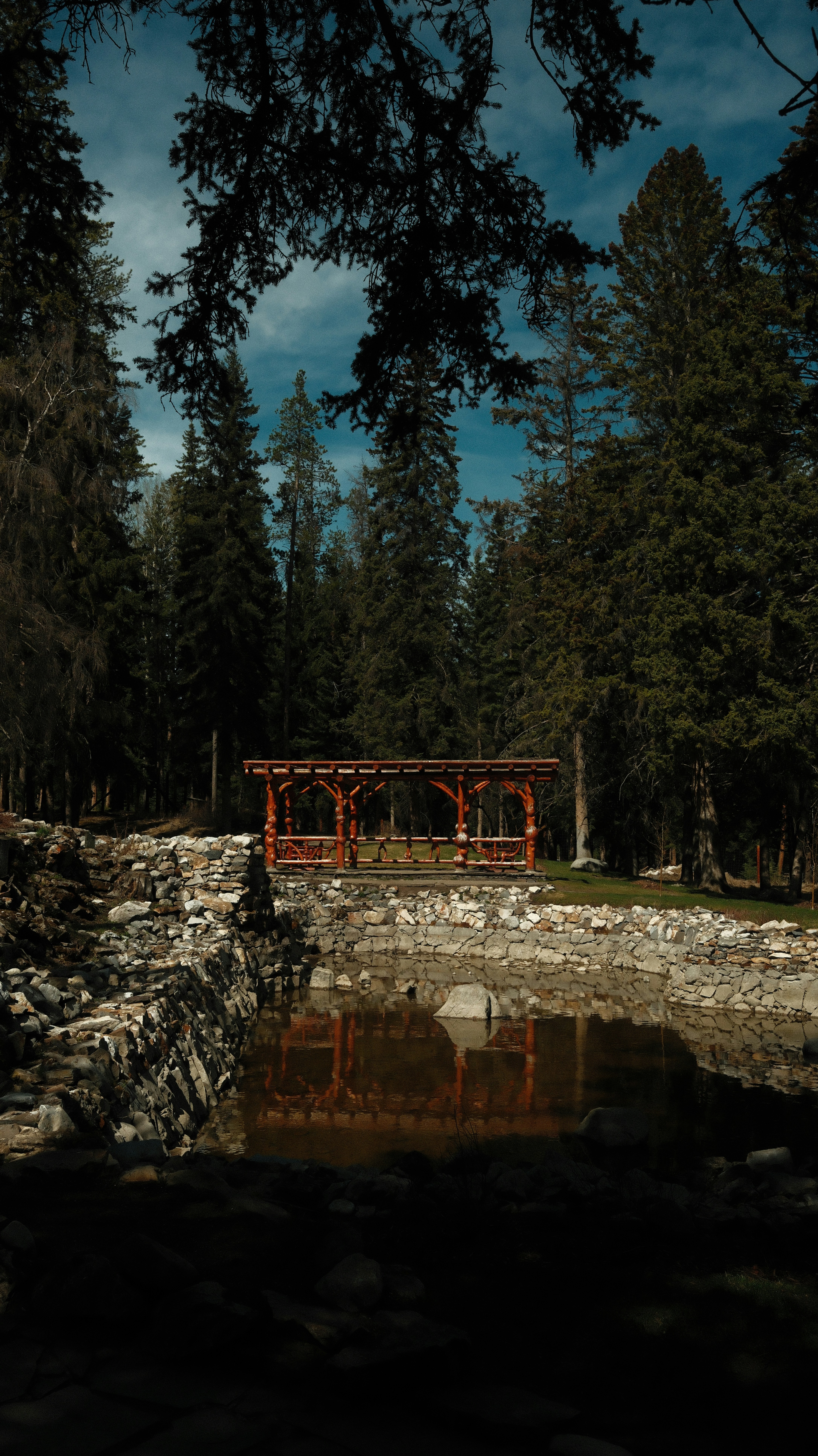 Wooden Arbor Over a Reflective Pond in a Pine Forest
