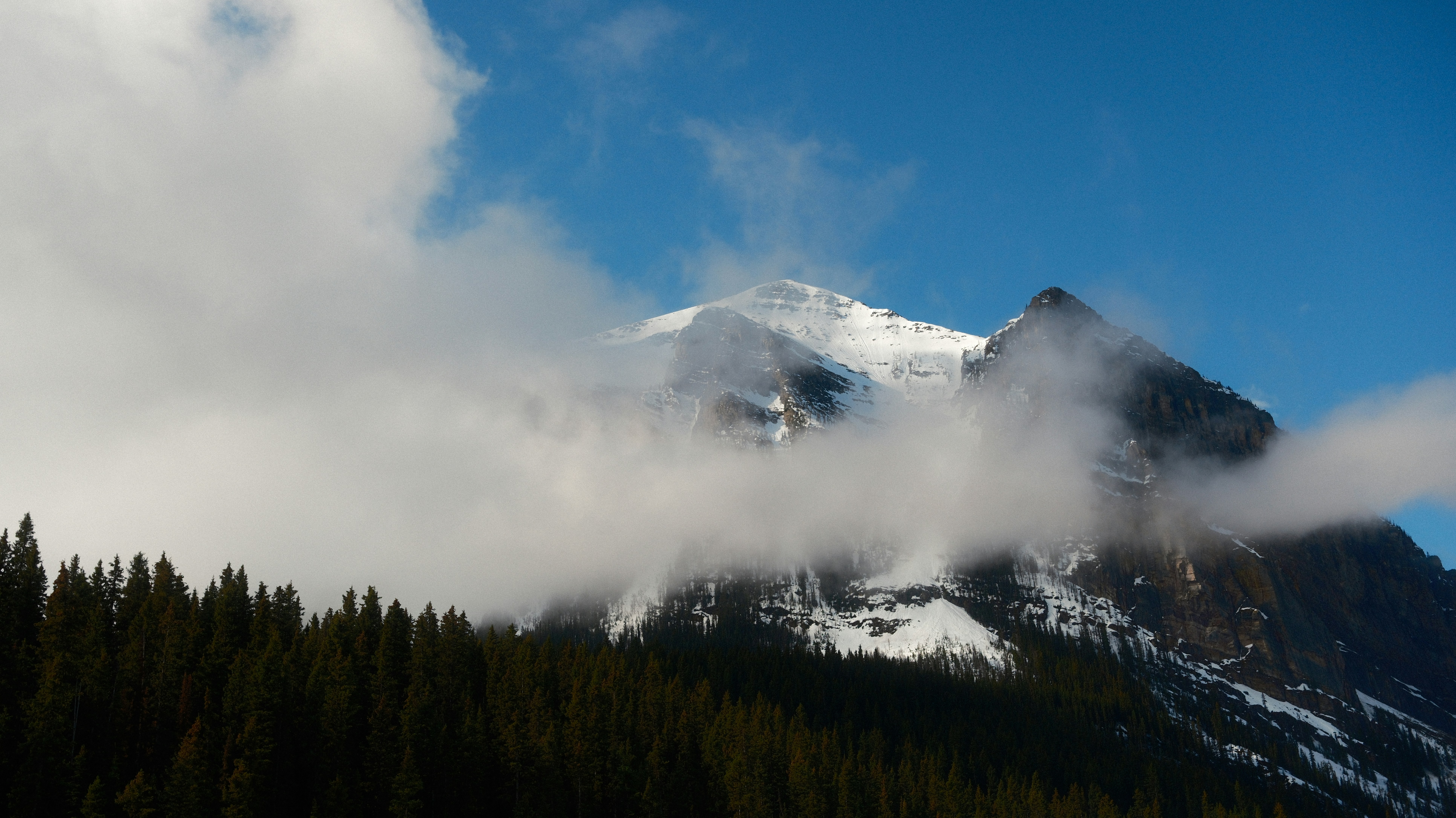 Snow-crowned Peak Emerging Through Cloud Veil Over Pine Forest