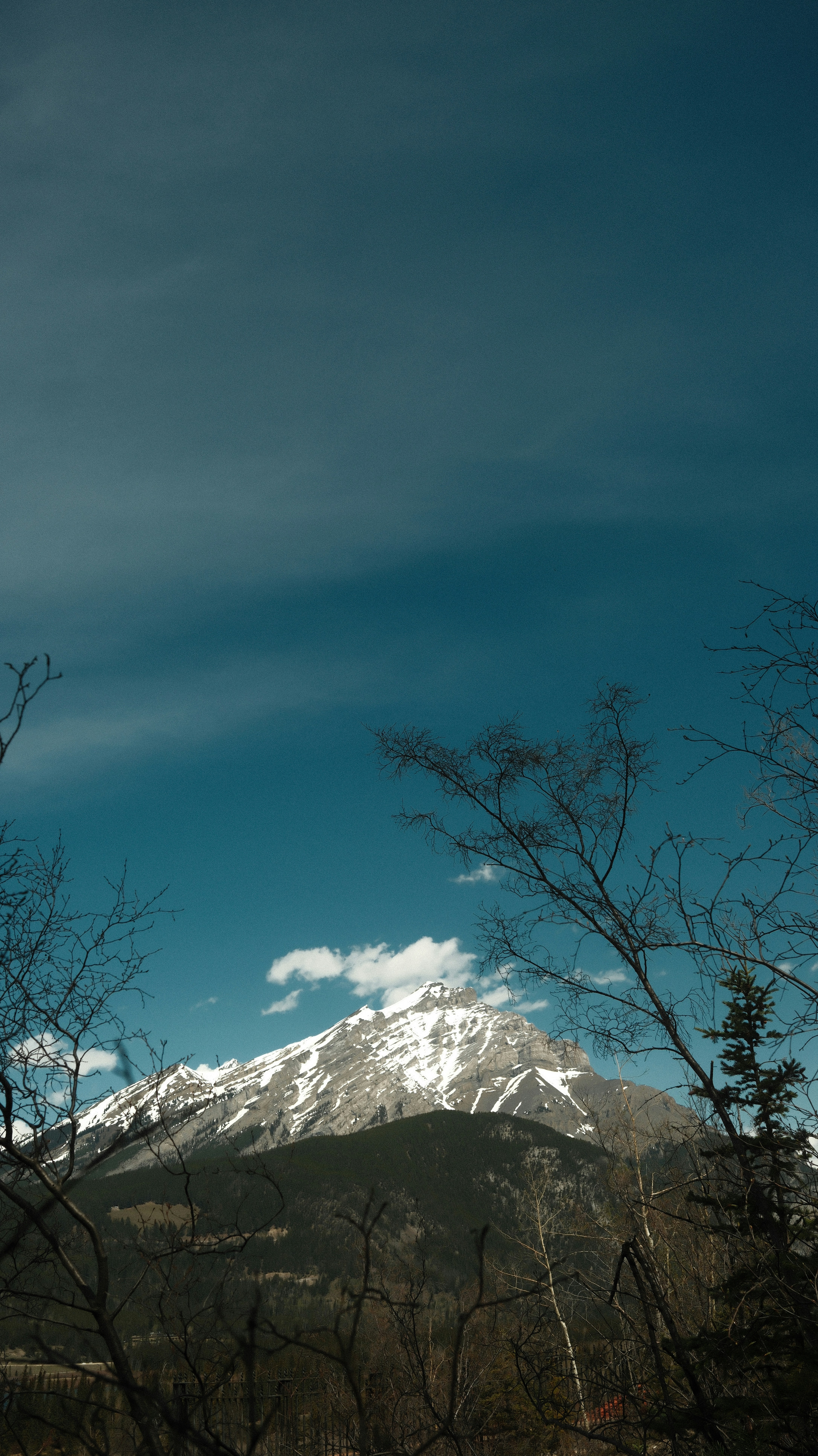 Snow-Capped Peak Bursts from a Leafless Woodland