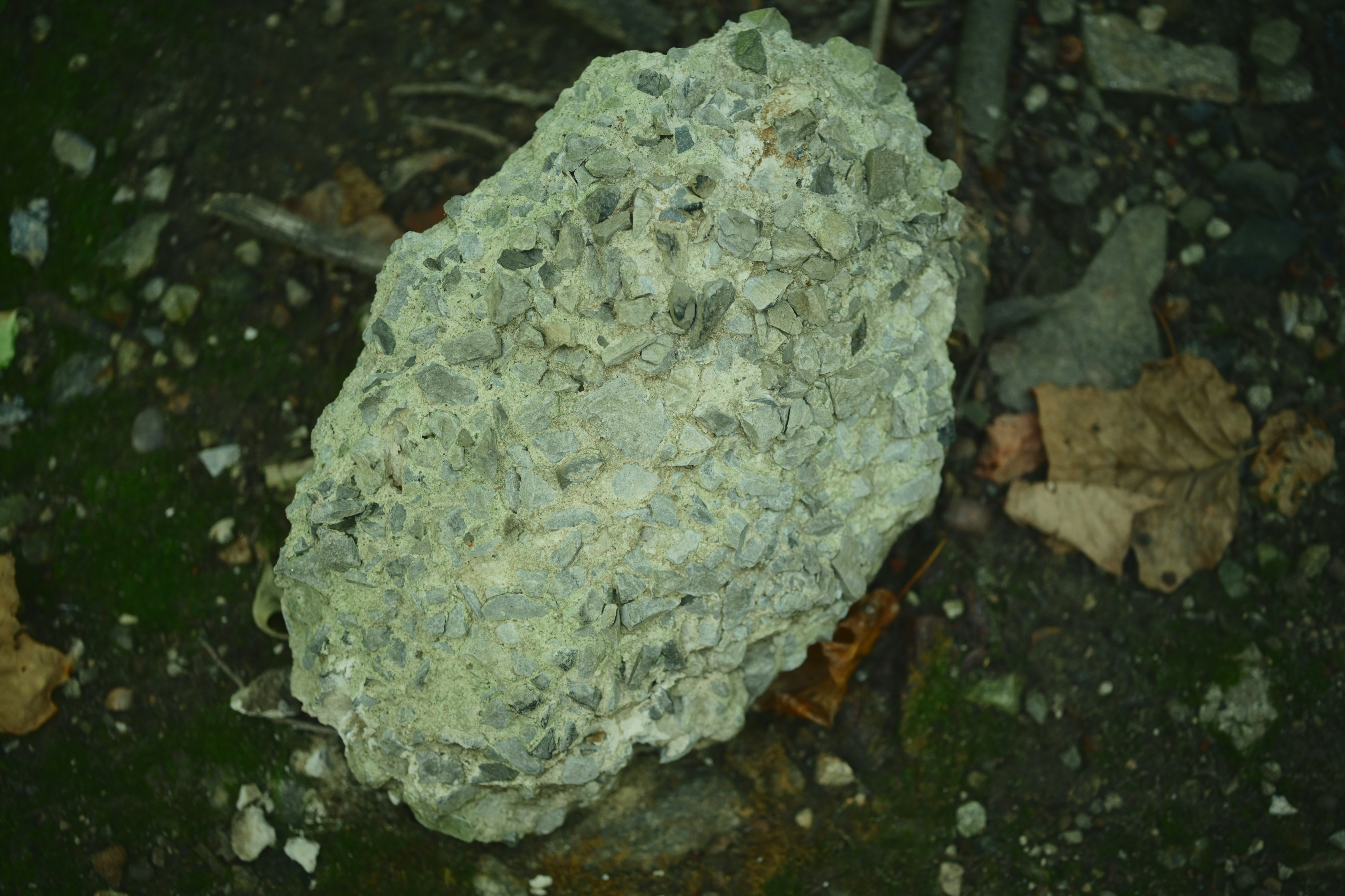 Rough concrete block lying on dark, mossy ground.