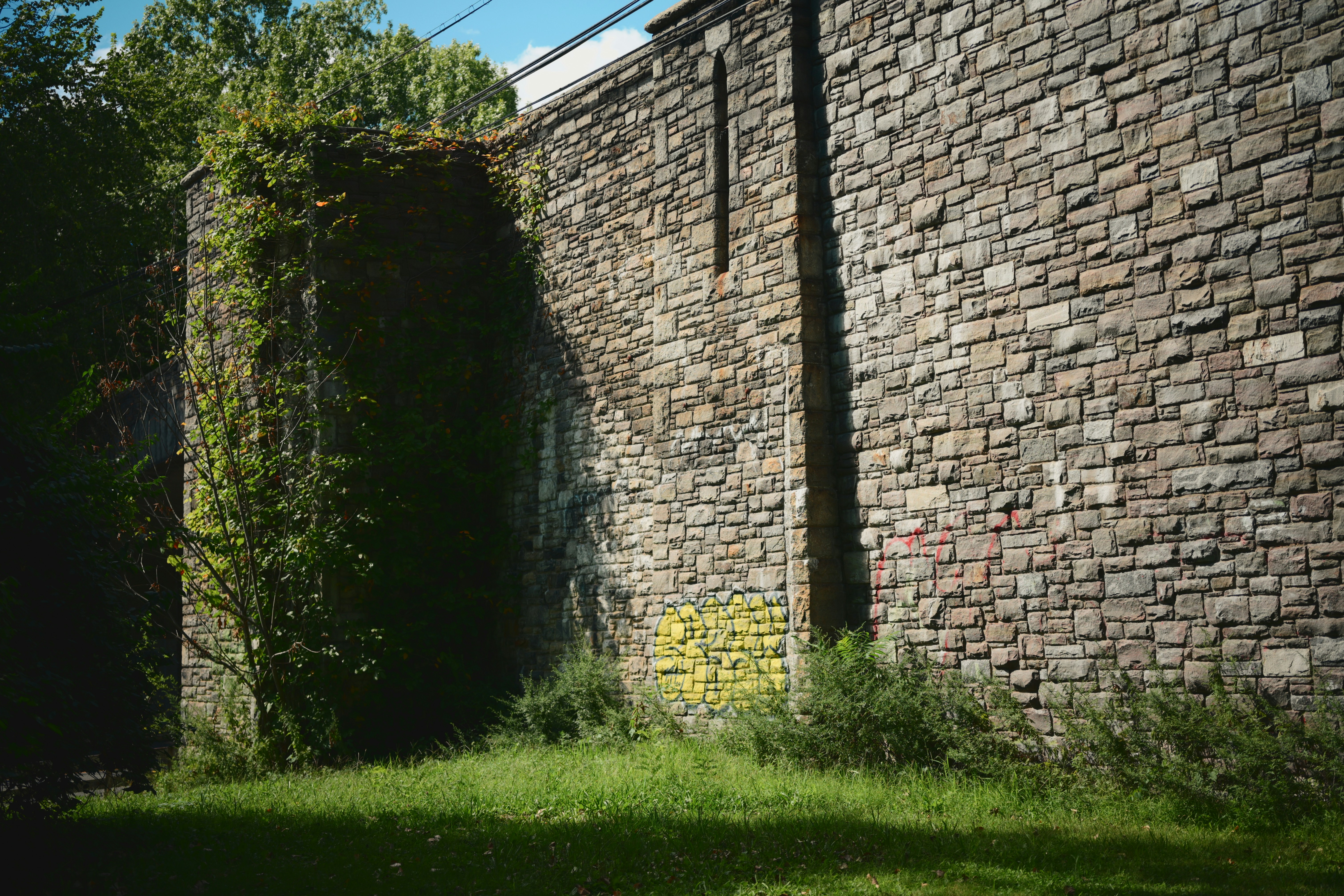 Sunlit Wall with Stone Cloister and Grounded Foliage