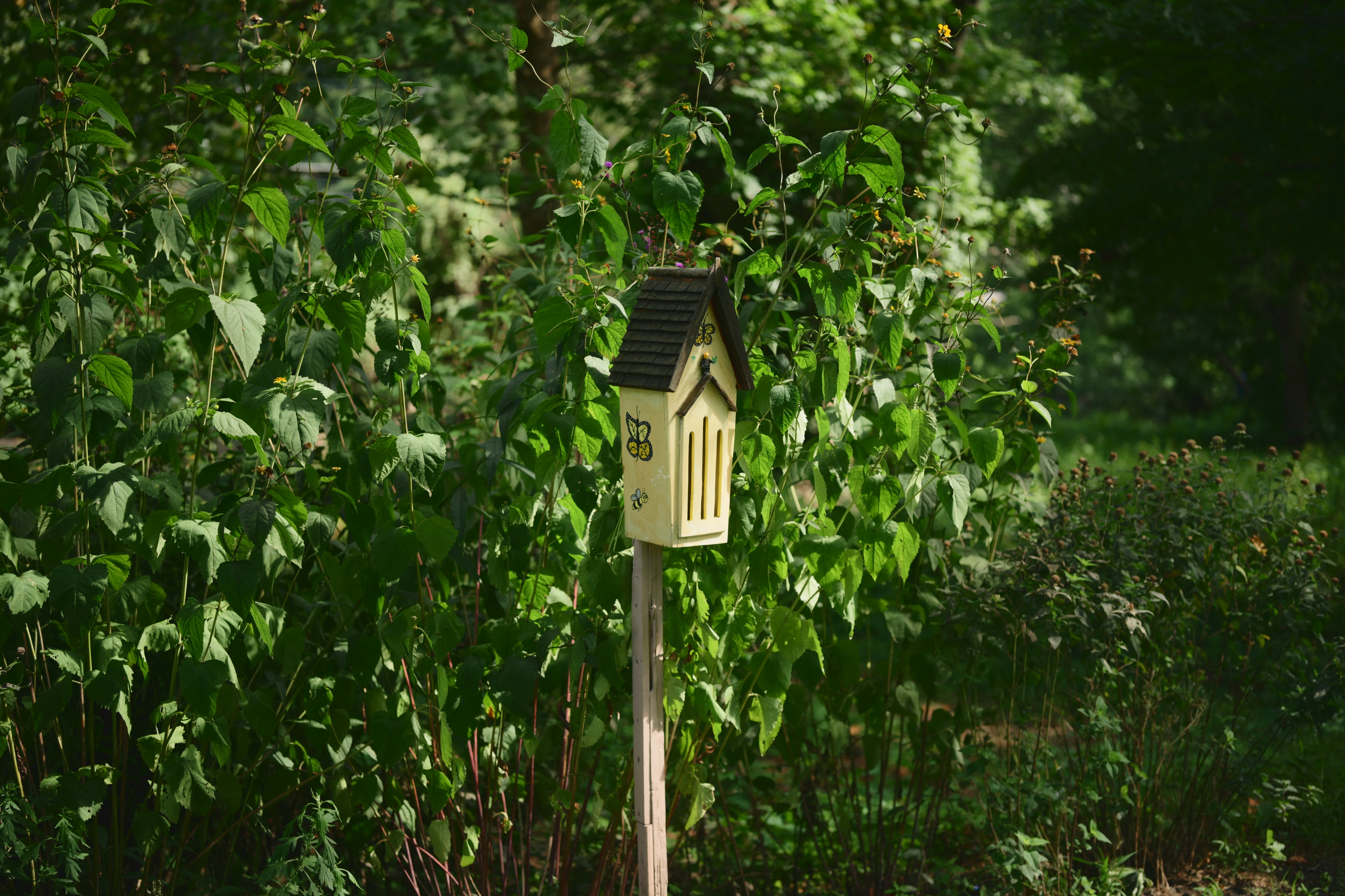 Sunny Standalone Birdhouse Amid Greenery