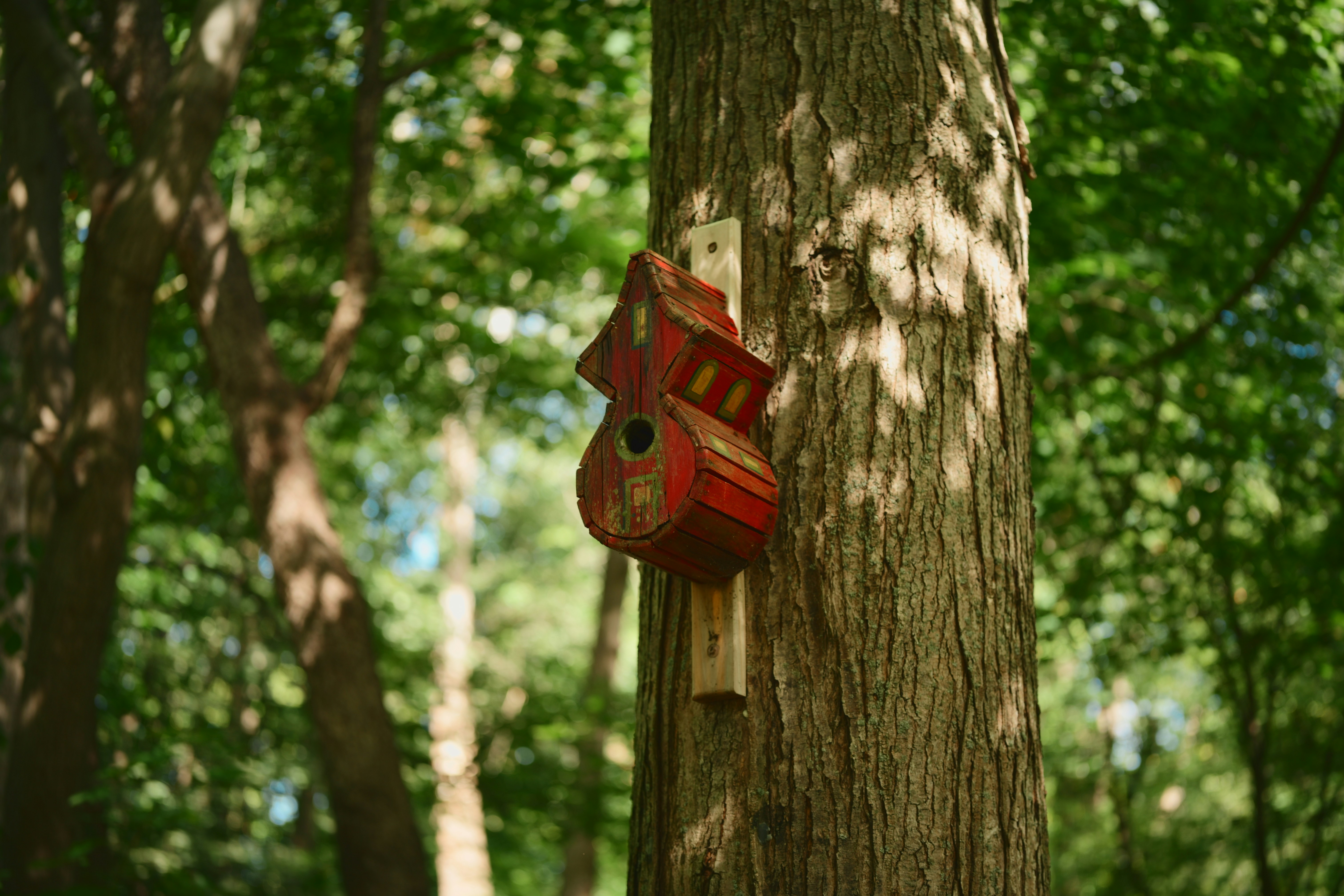 Red Birdhouse on a Tree Trunk in a Sun-Dappled Park