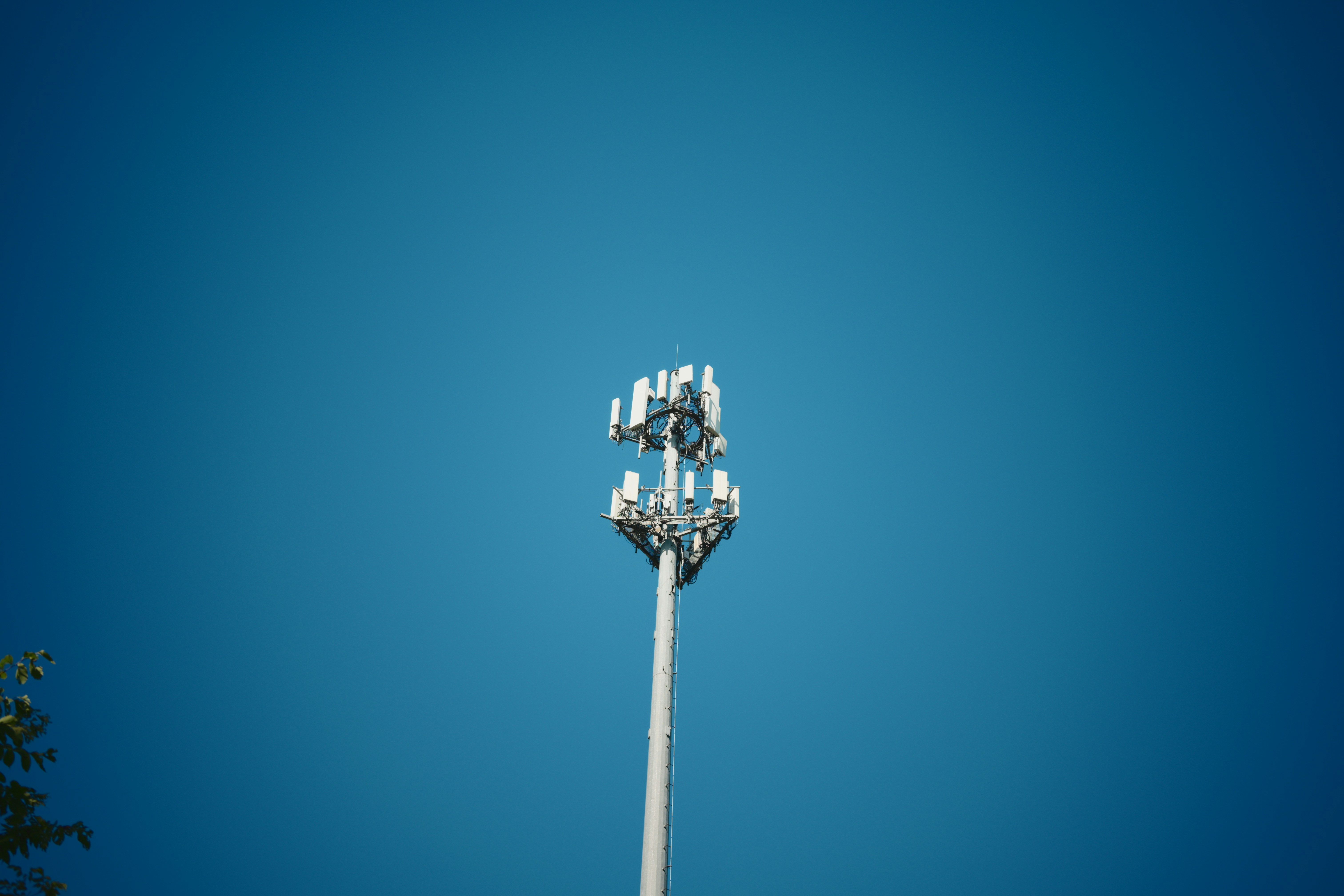 Solitary Signal: A Communications Tower Reaches for the Sky