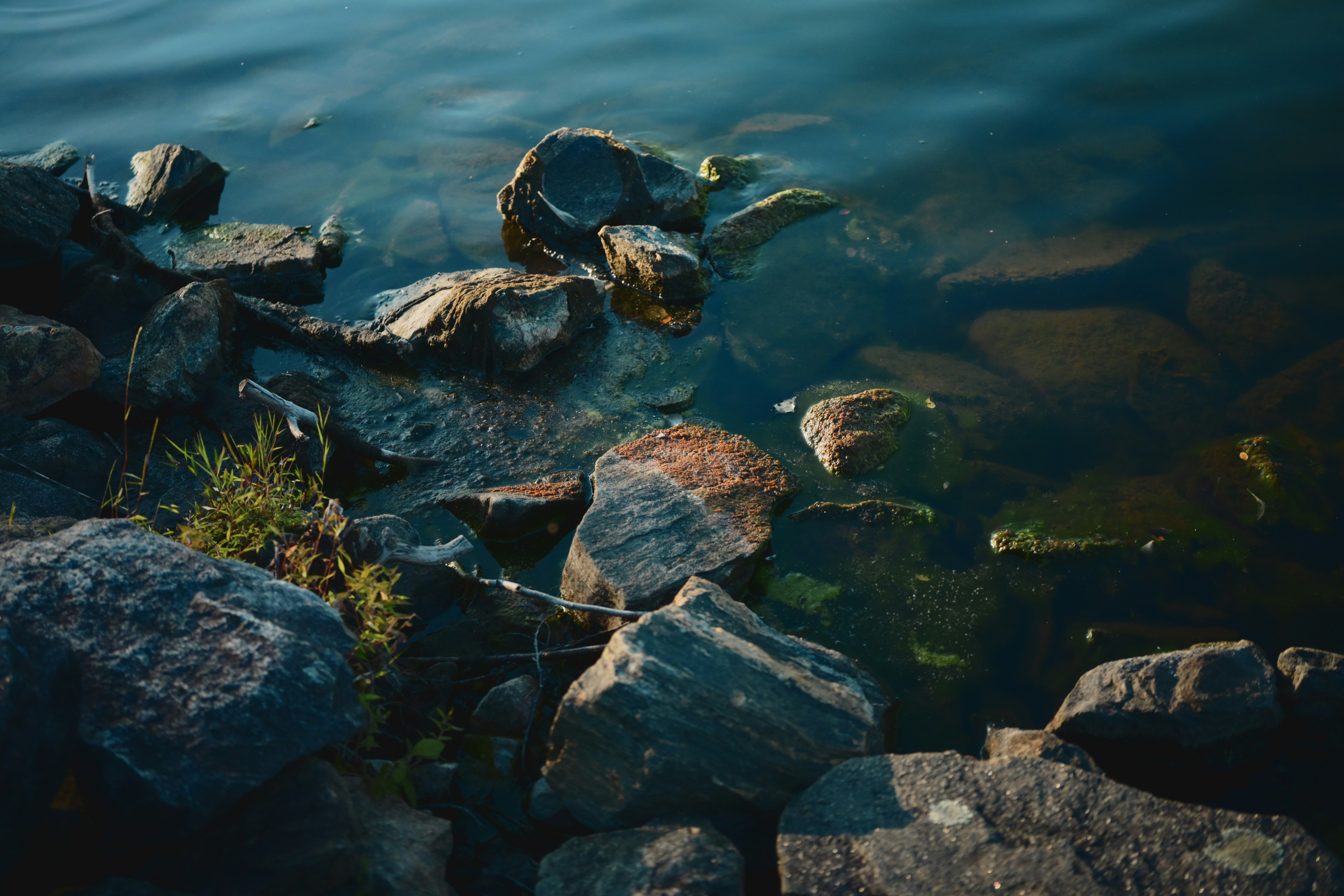 Rocky shoreline in turquoise water with sunlit stones