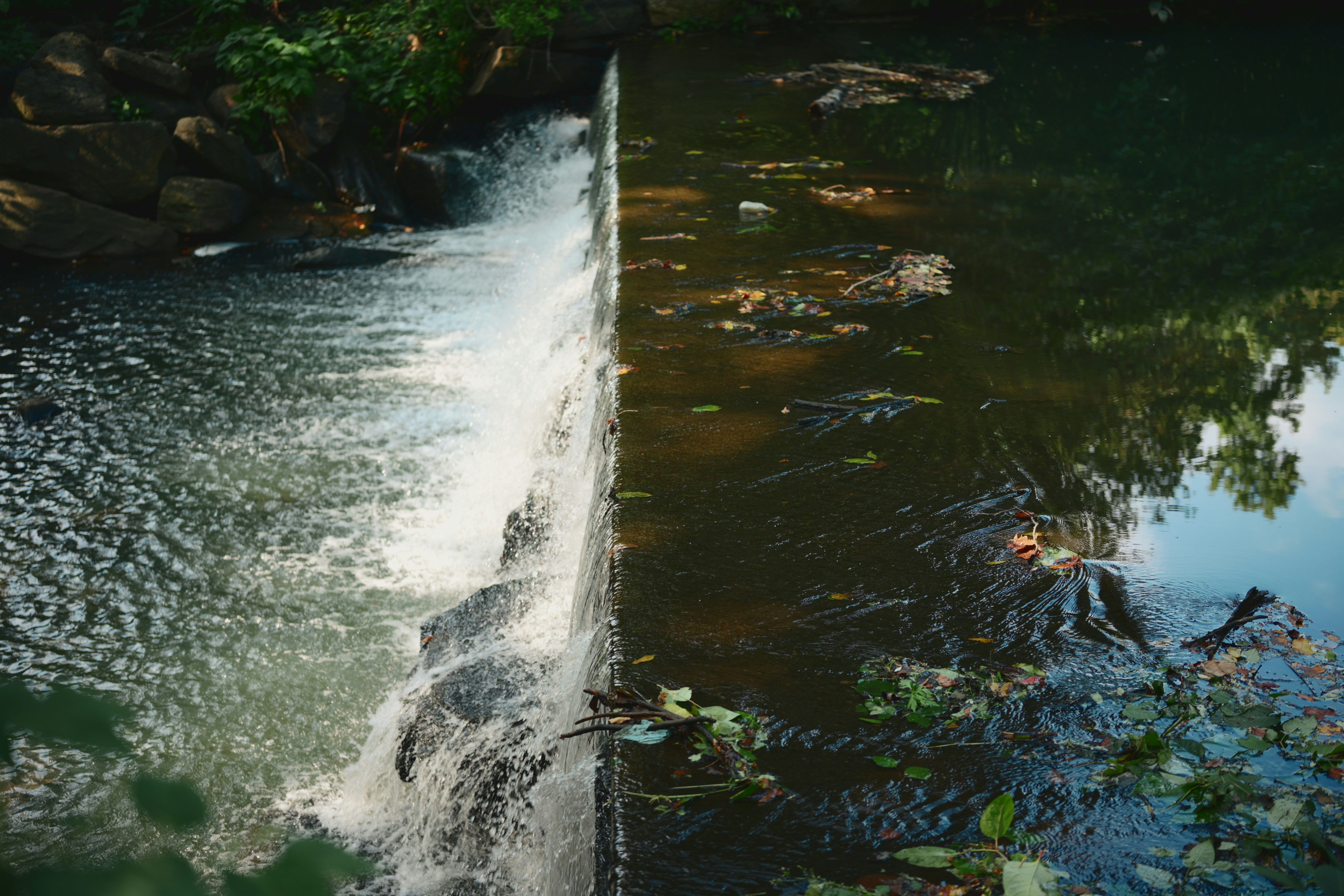 Cascade Edge: Morning Light on the River’s Narrow Curtain