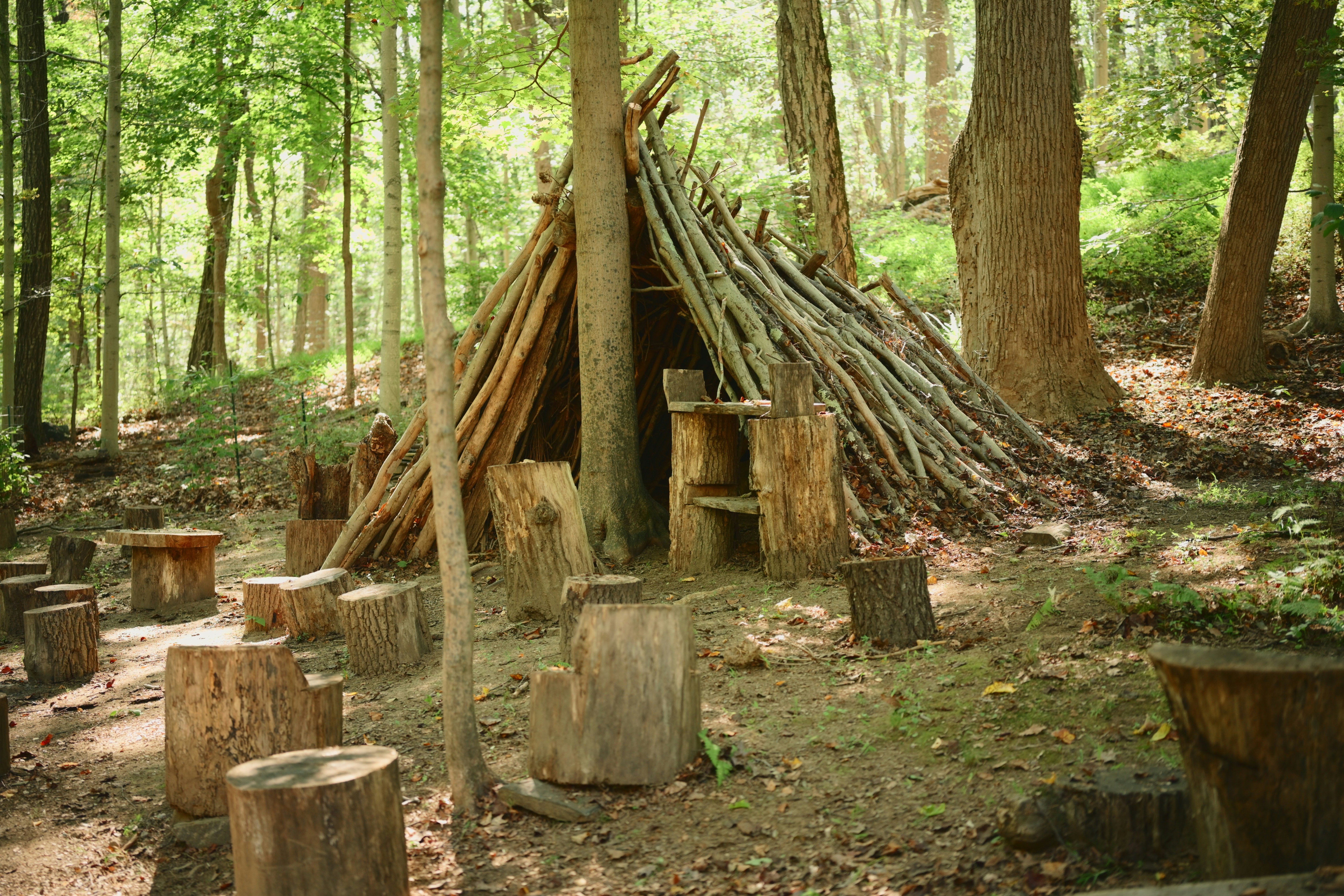 A Quiet Shelter of Stacked Branches Amid Dappled Green