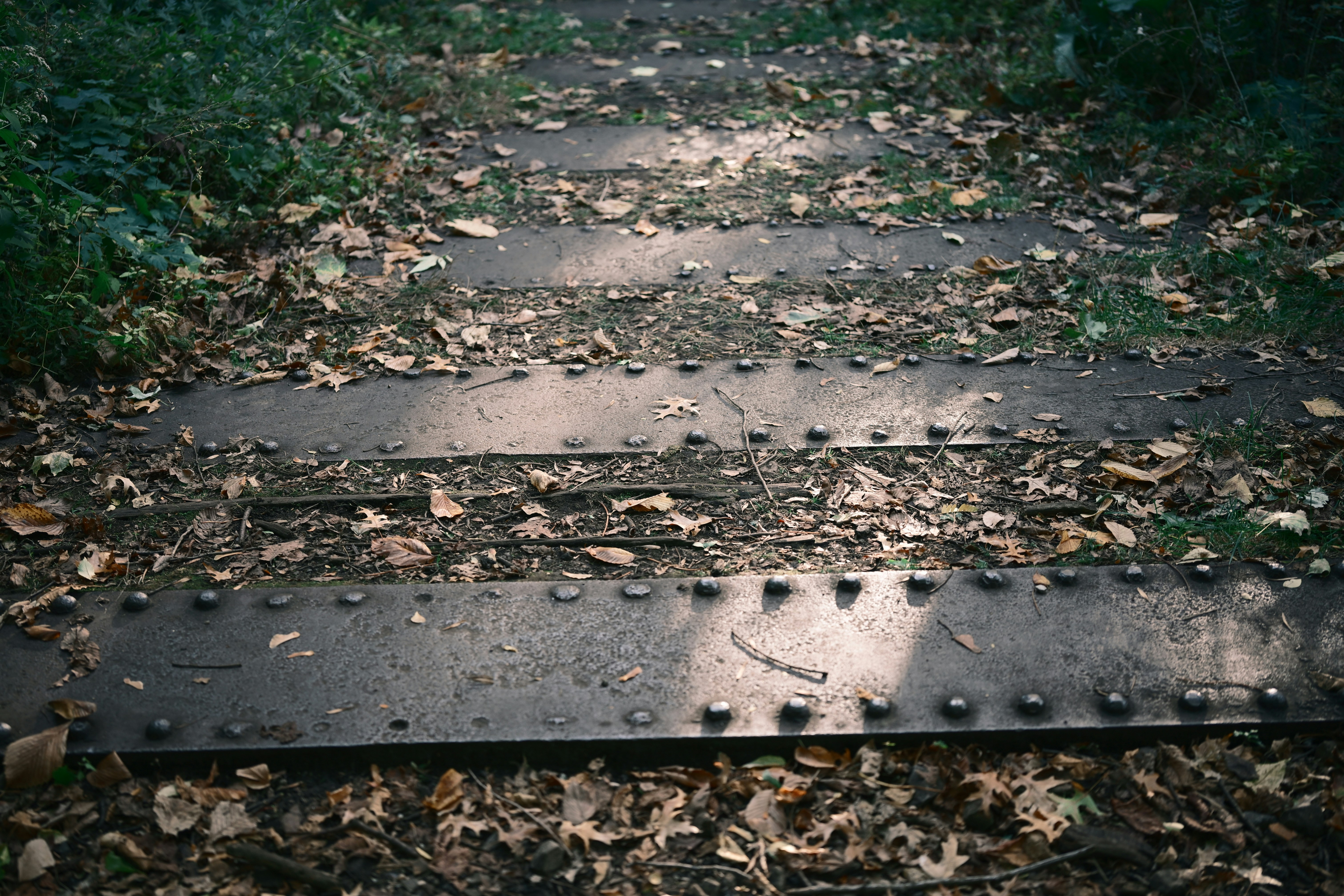 Riveted metal path covered with scattered autumn leaves.