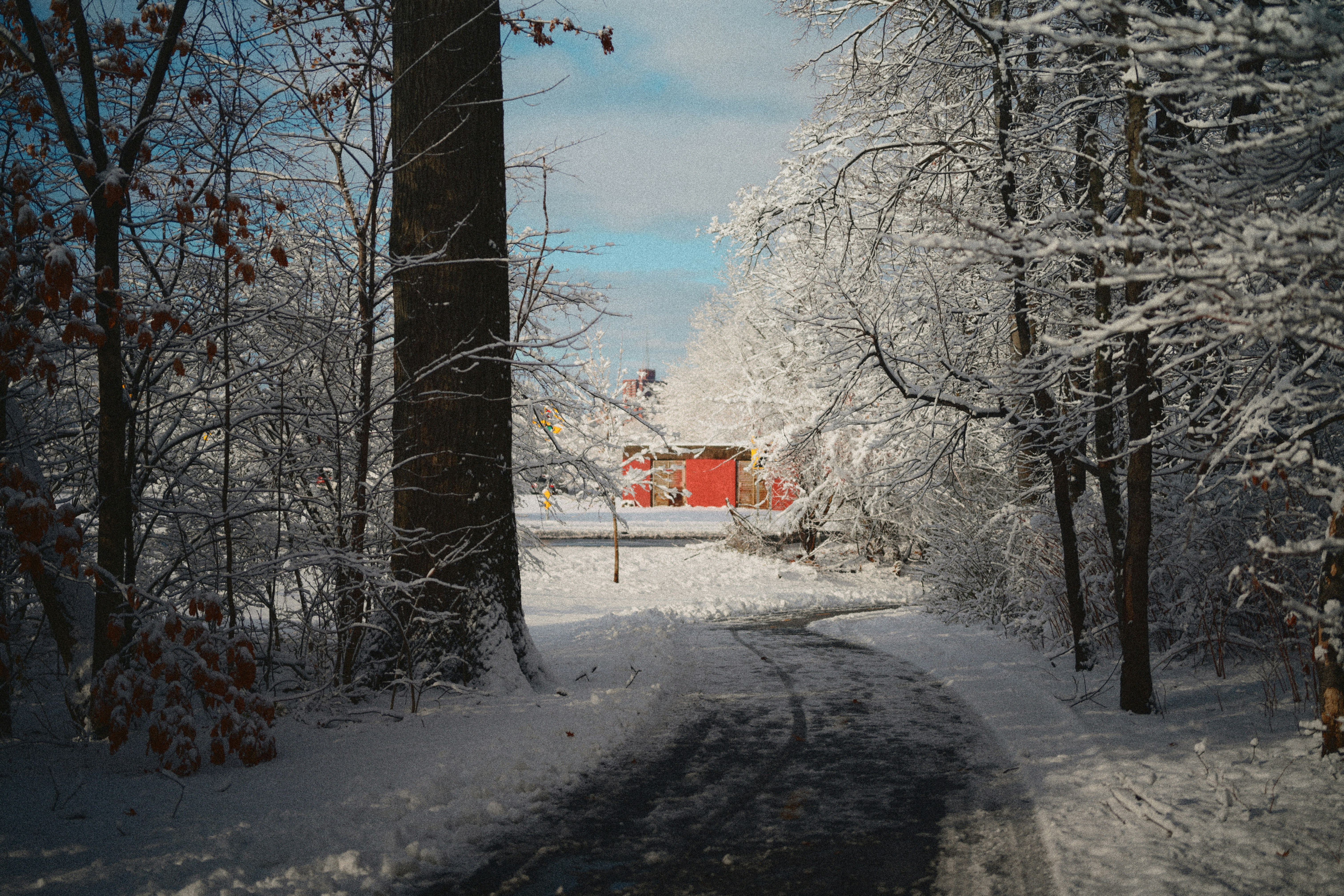A snowy path leads through trees to a red building.
