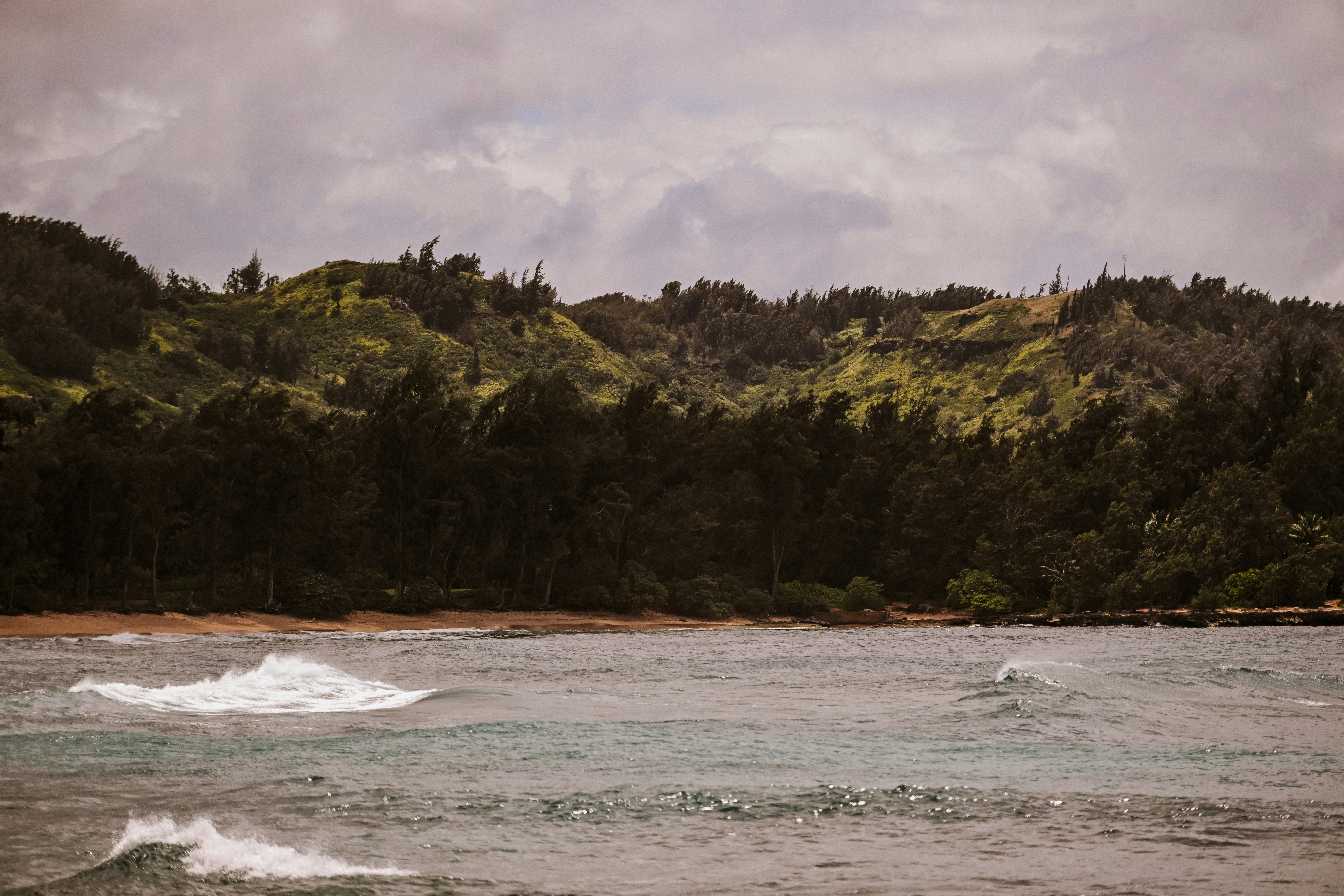 Coastal Dunes and Sea Spray under a Quiet Sky