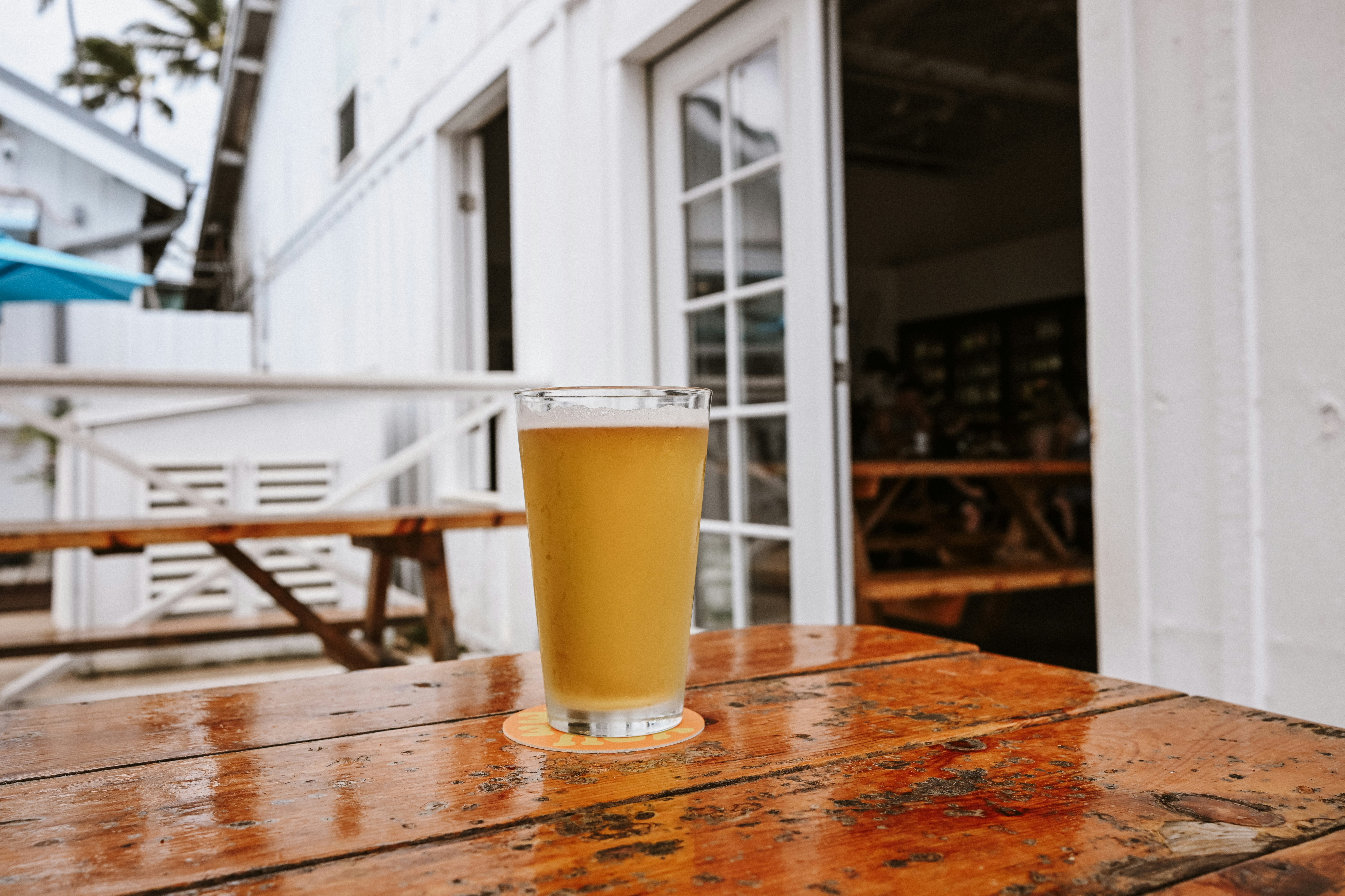 Amber Pint on a Weathered Table at a Sunlit Dockside Café