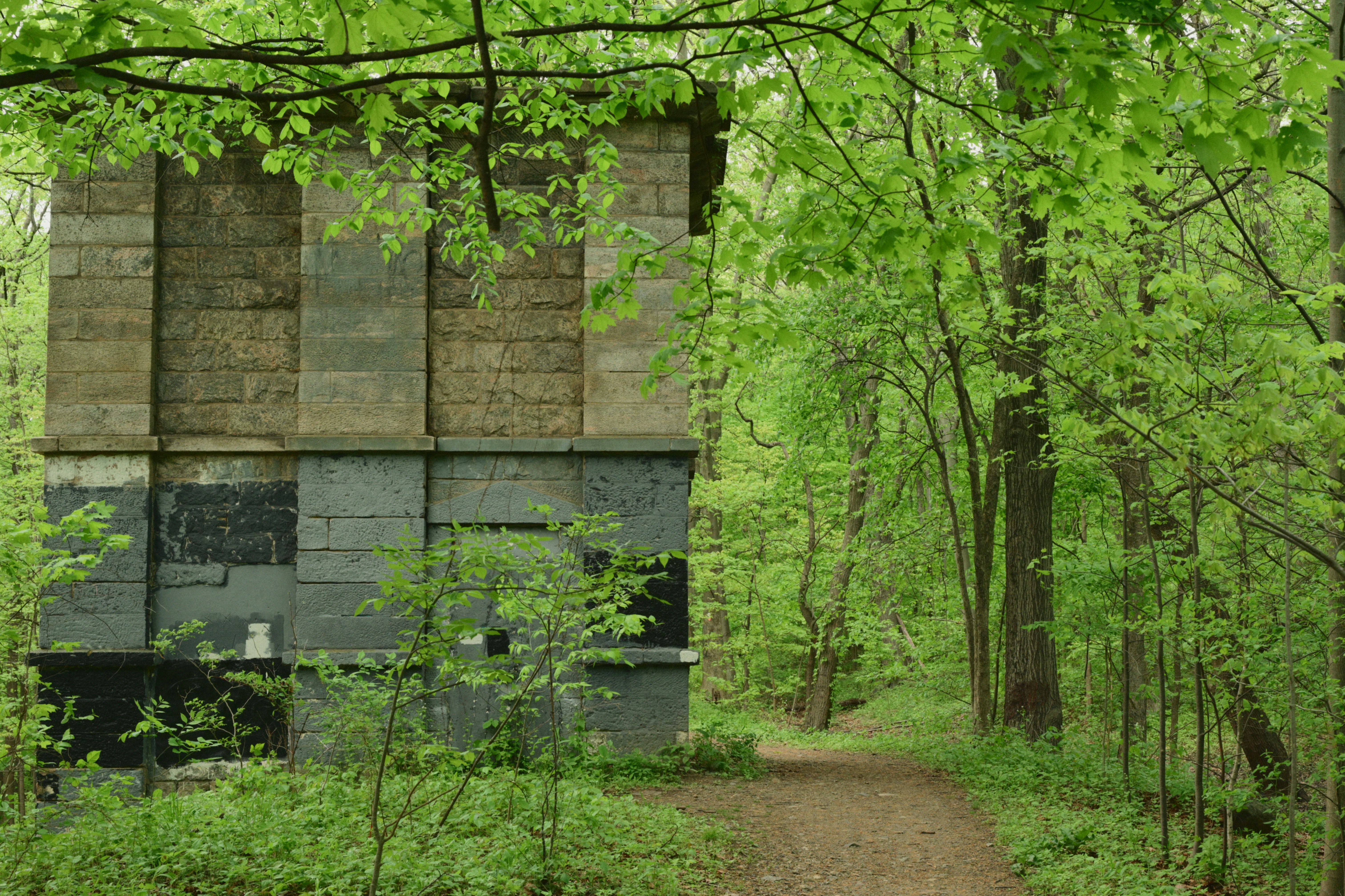 Forest Path by a Weathered Structure