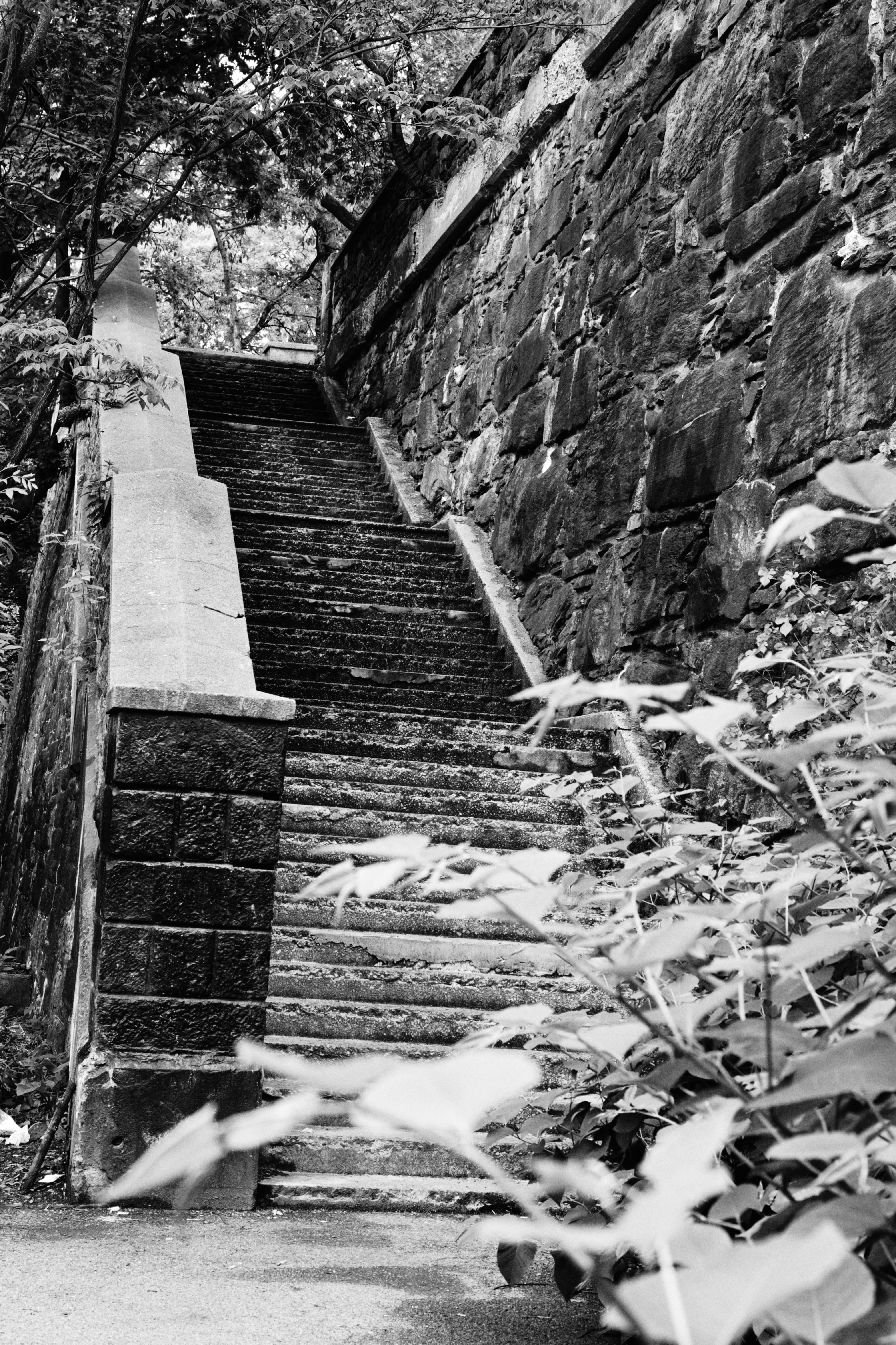 Weathered ascent: stone stairs winding beside a mossy wall