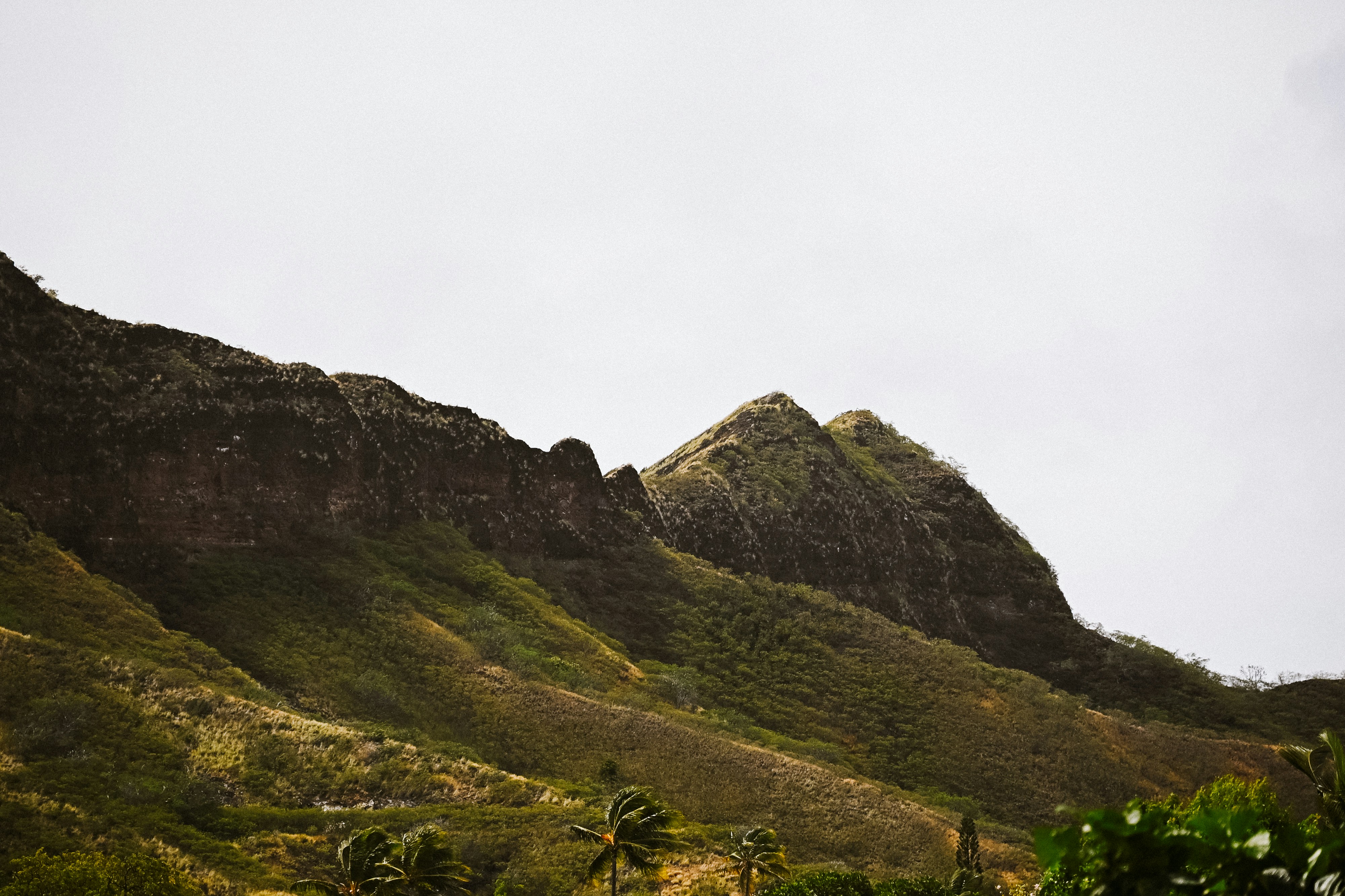 Sunlit Ridge Beneath a Quiet Sky