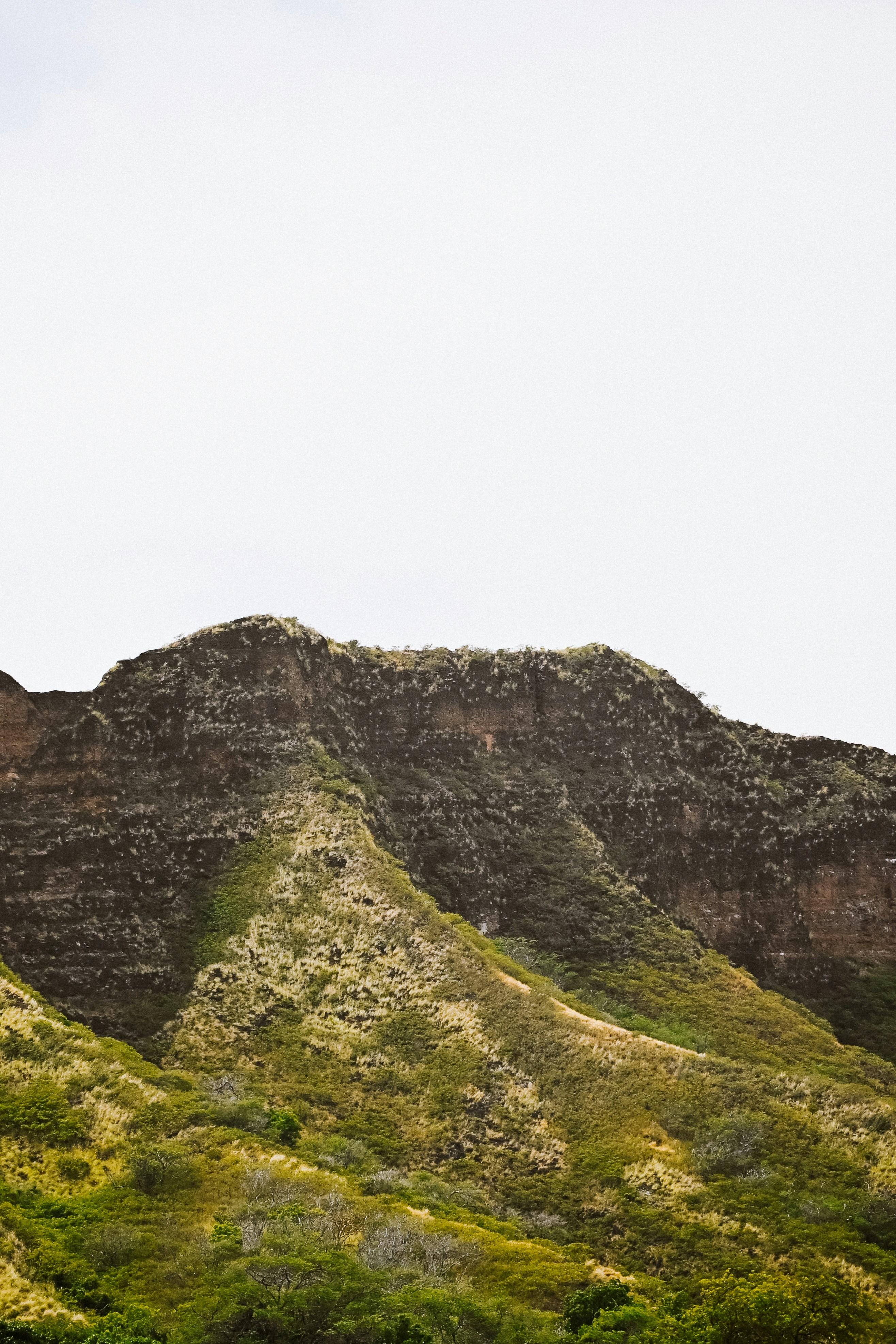 Verdant Ridges Under a Wide White Sky