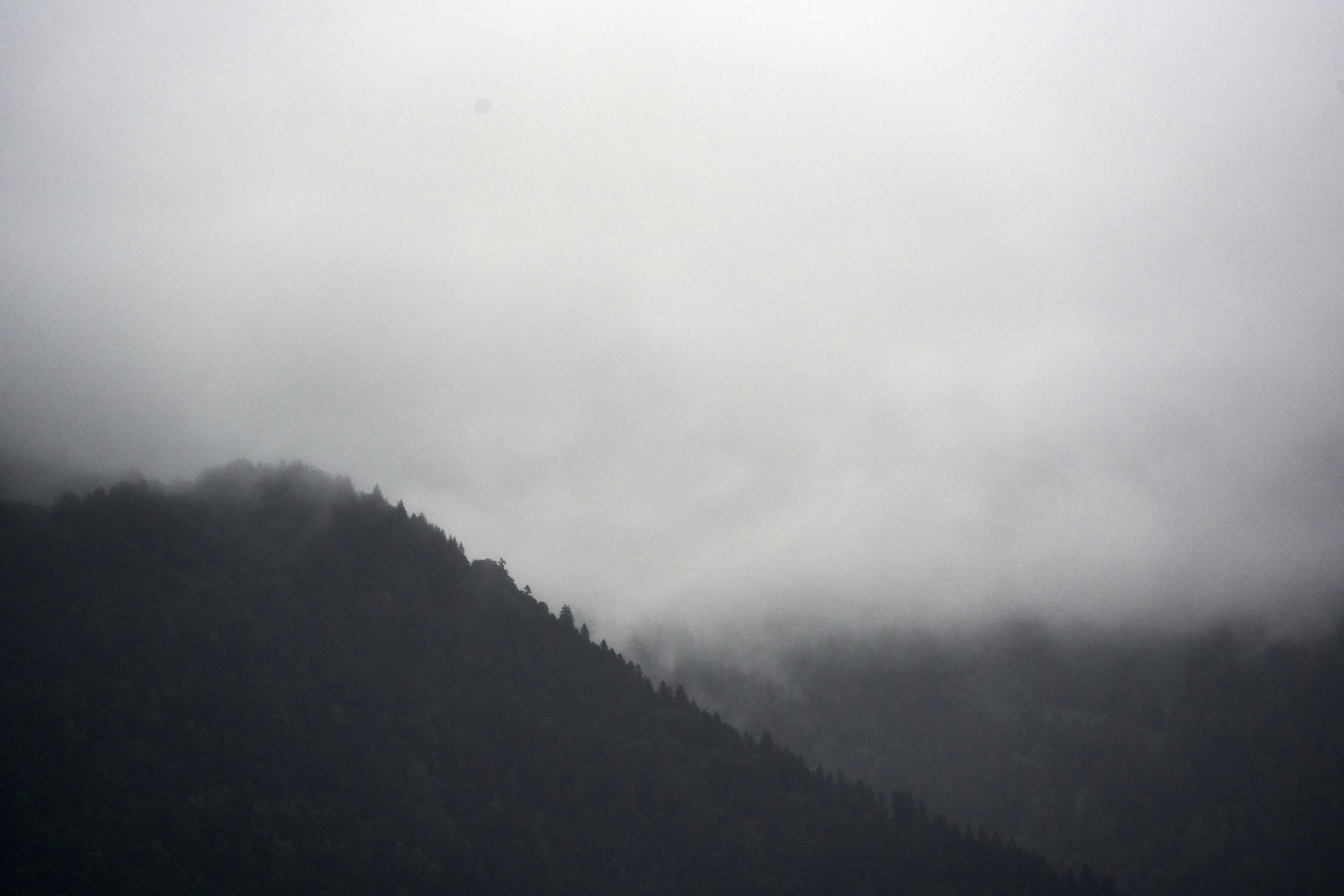 Mist Over the Ridge: Quiet Dusk Above the Forest