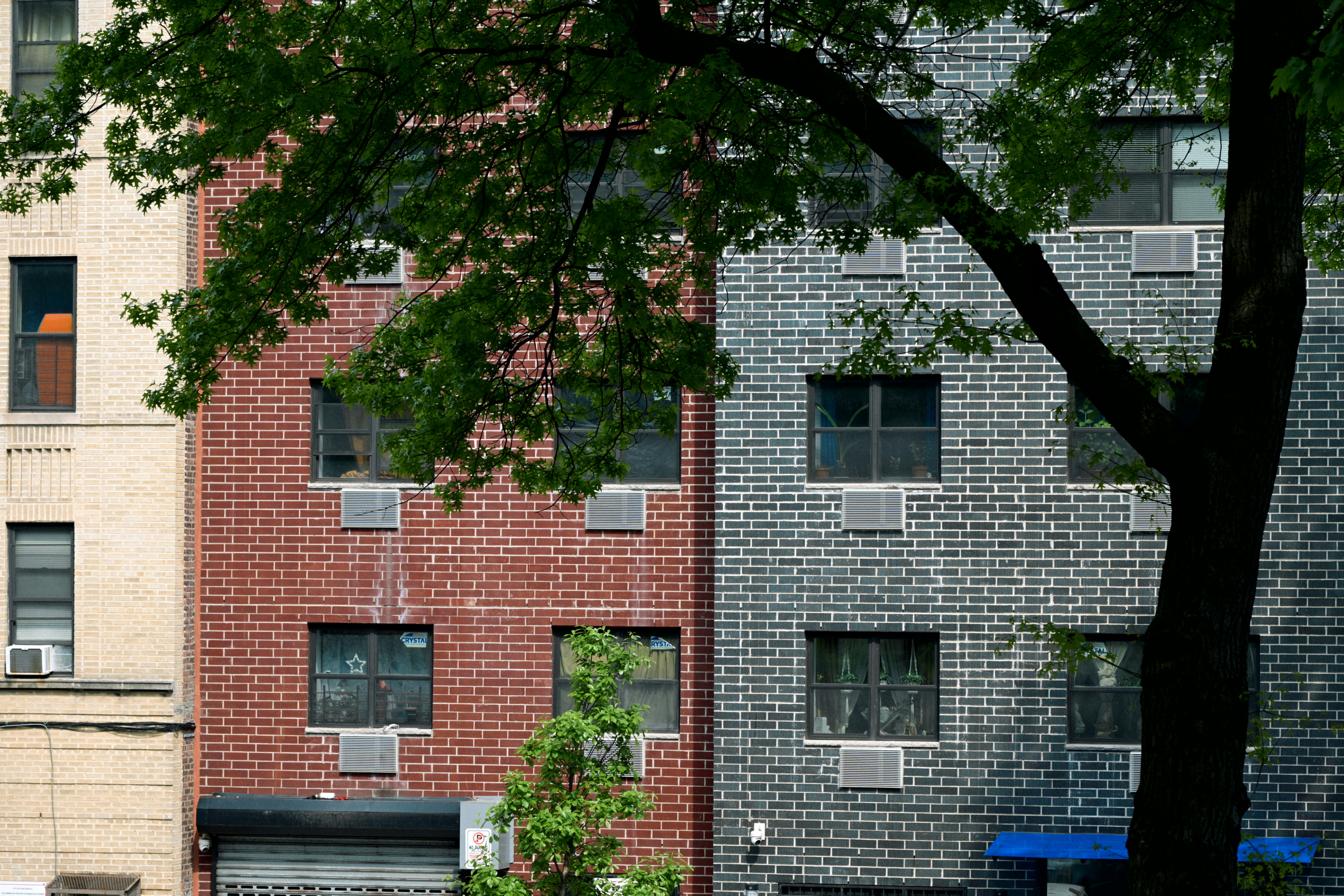 Tree-framed Urban Facade: Brick, Brick, and Shade