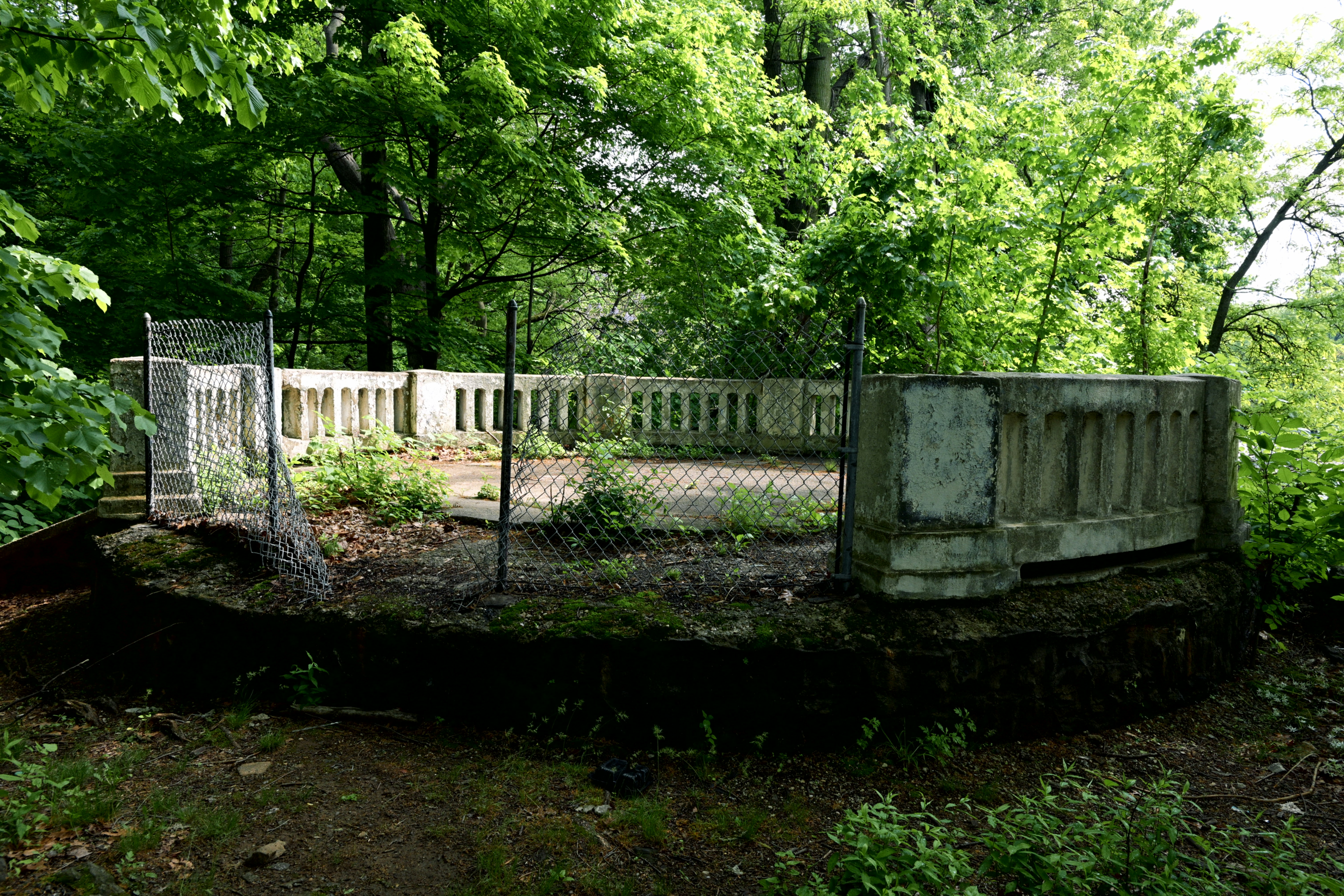 Abandoned terrace overgrown with greenery and a weathered railing