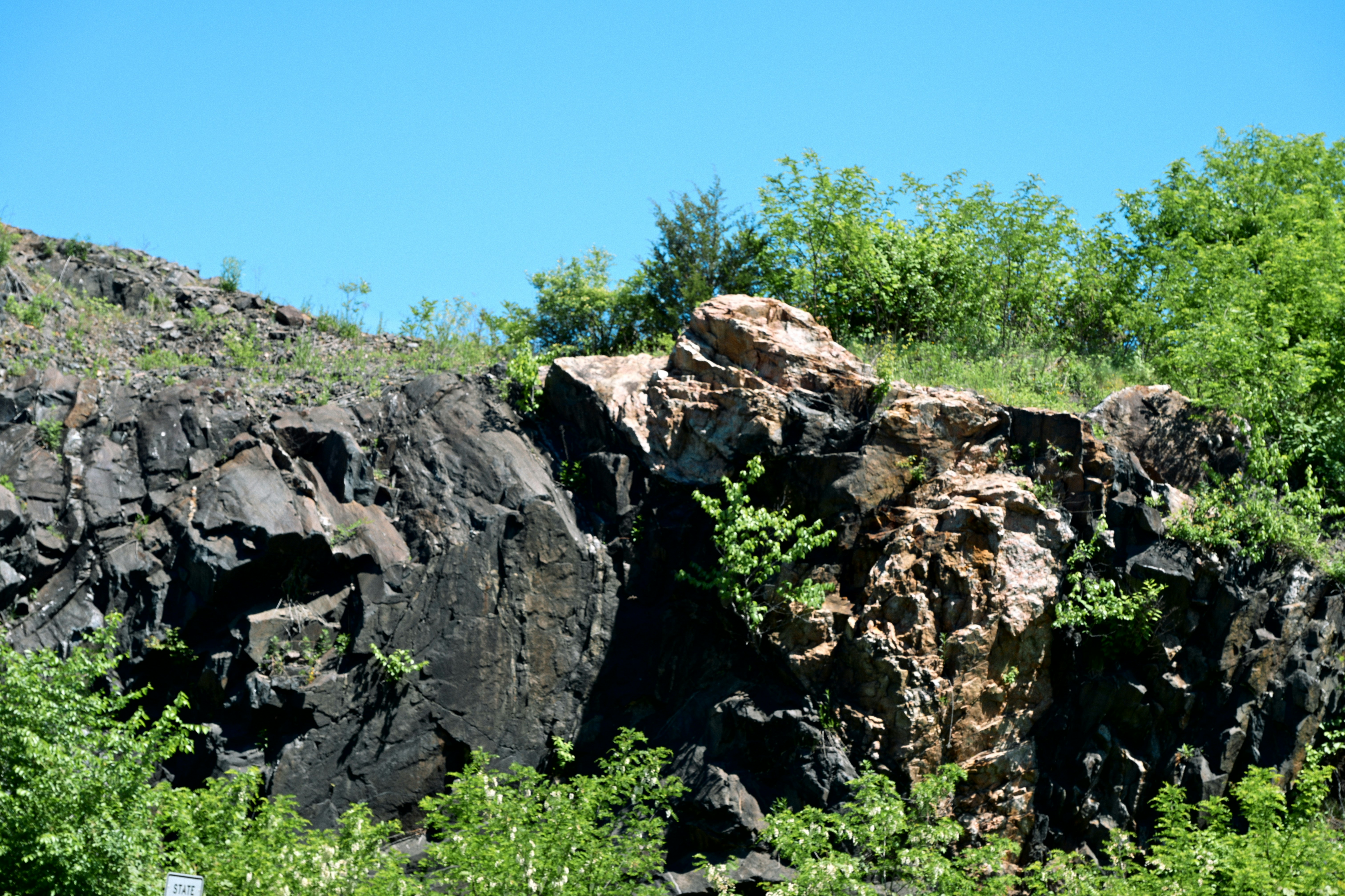 Rocky hillside with dark and light rocks and green foliage.