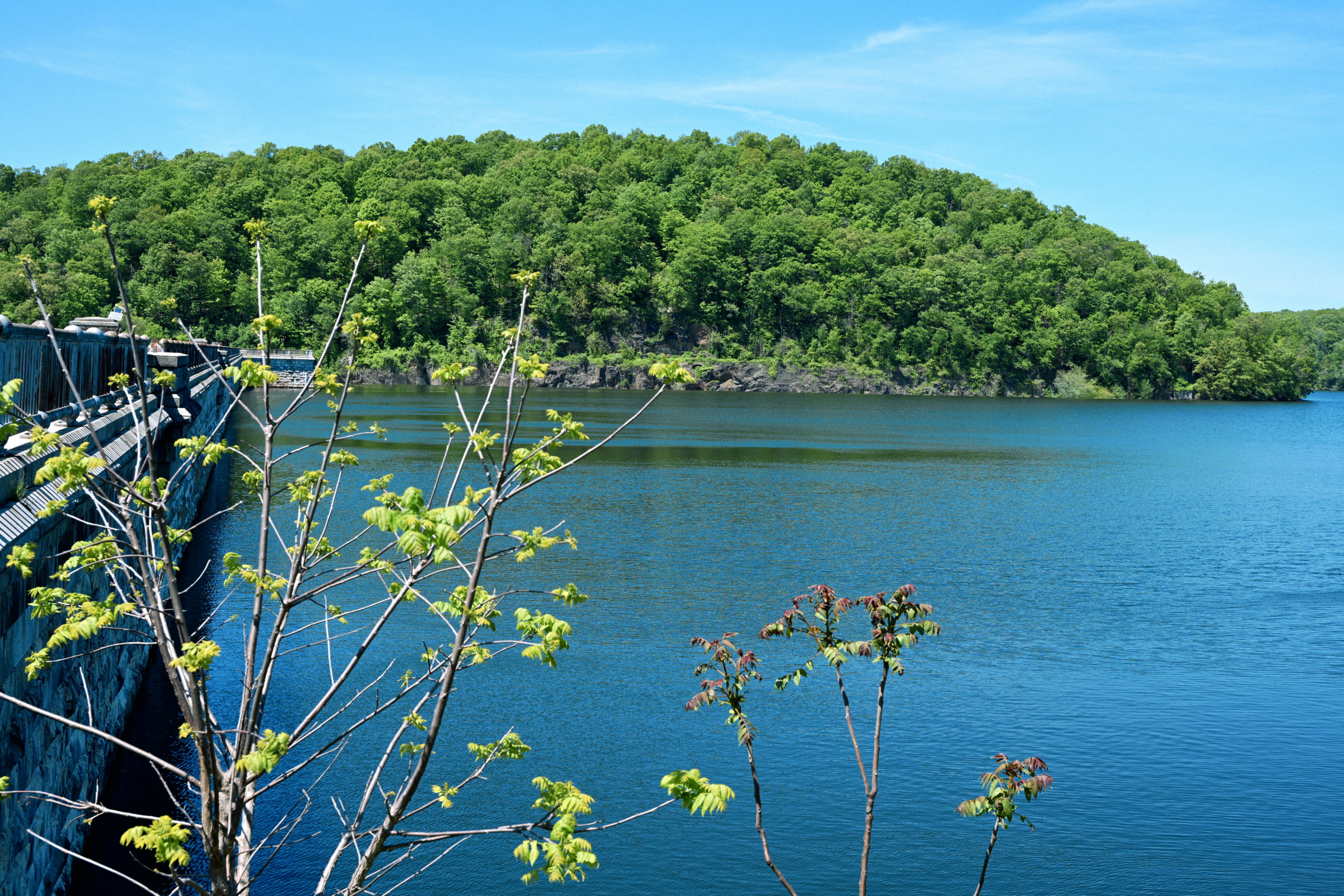 A tranquil lake with a forested hill and a dam.