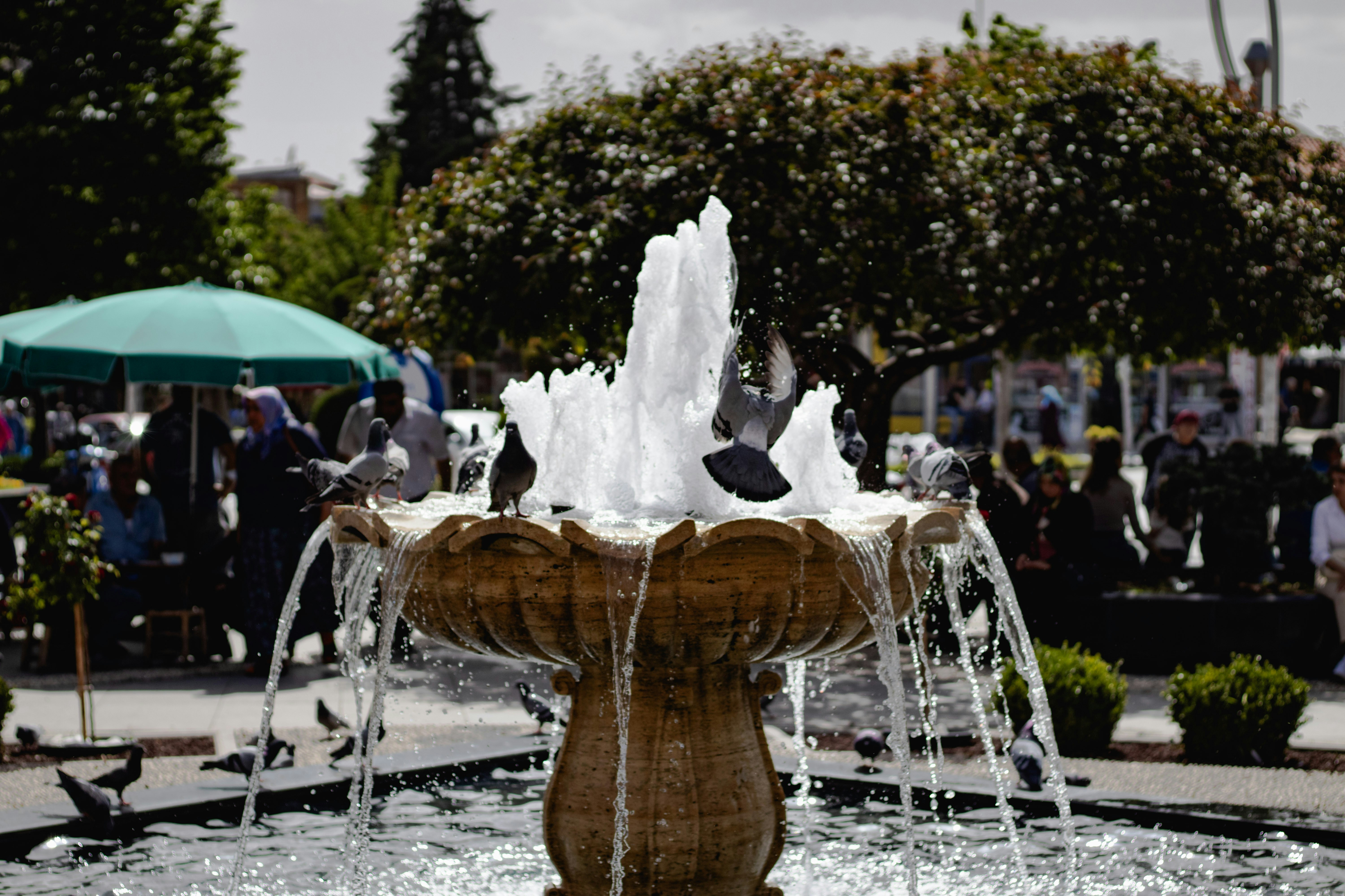 Sculpted Cascade: A Central Fountain Amidst a Sunny Plaza