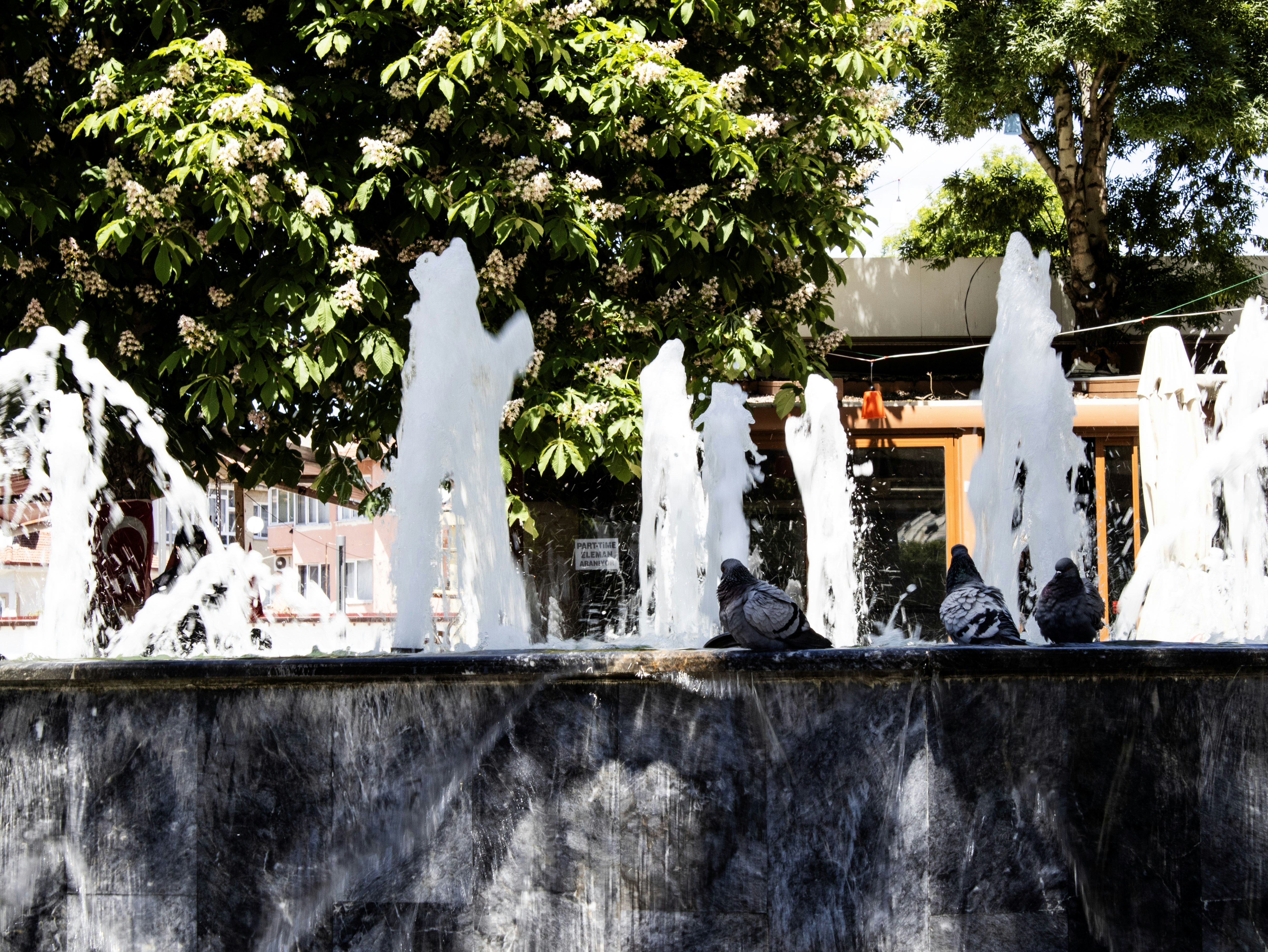 Midday Fountain Chorus in a City Square