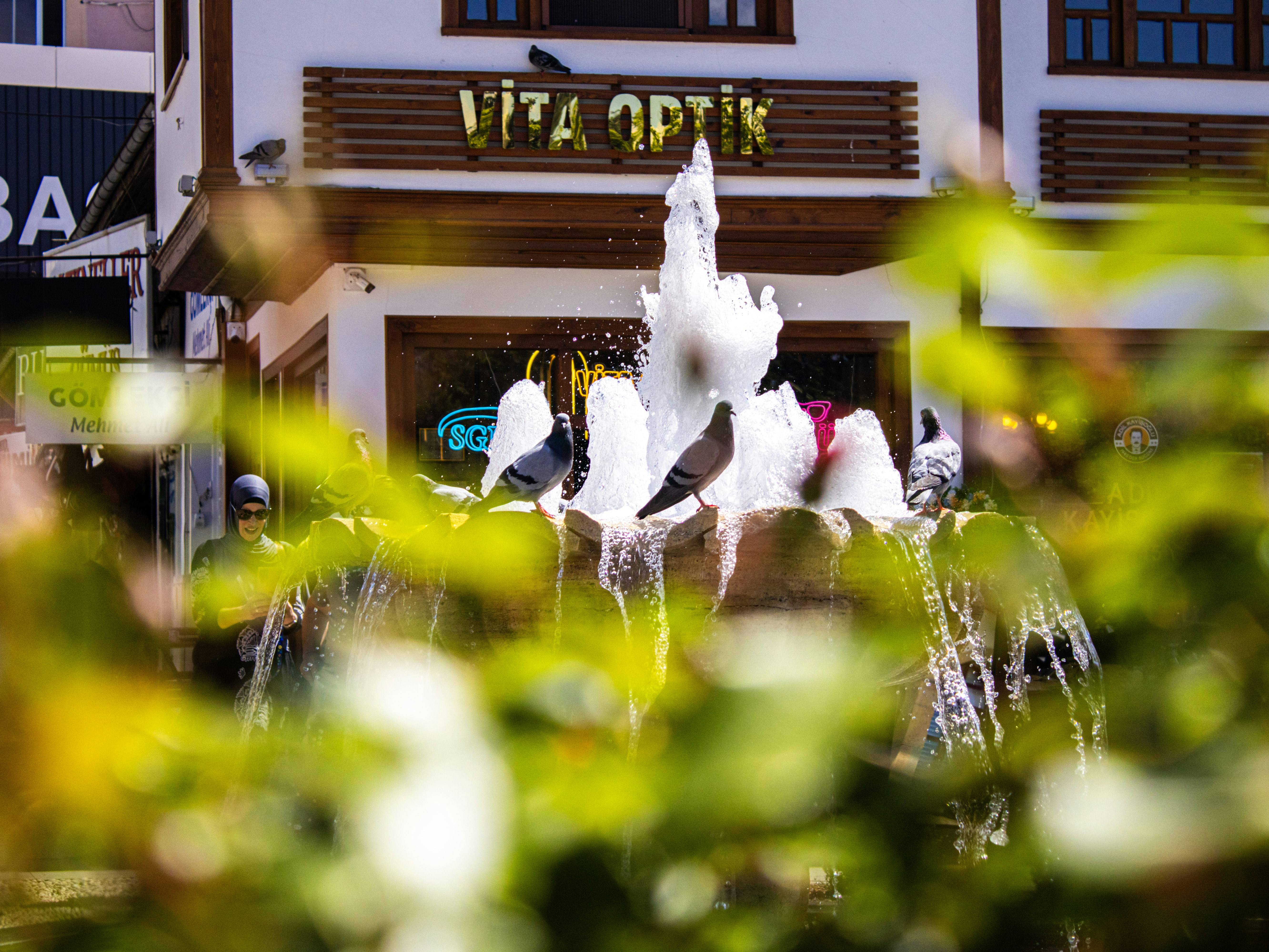 Fountain and storefront framed by blurred greenery