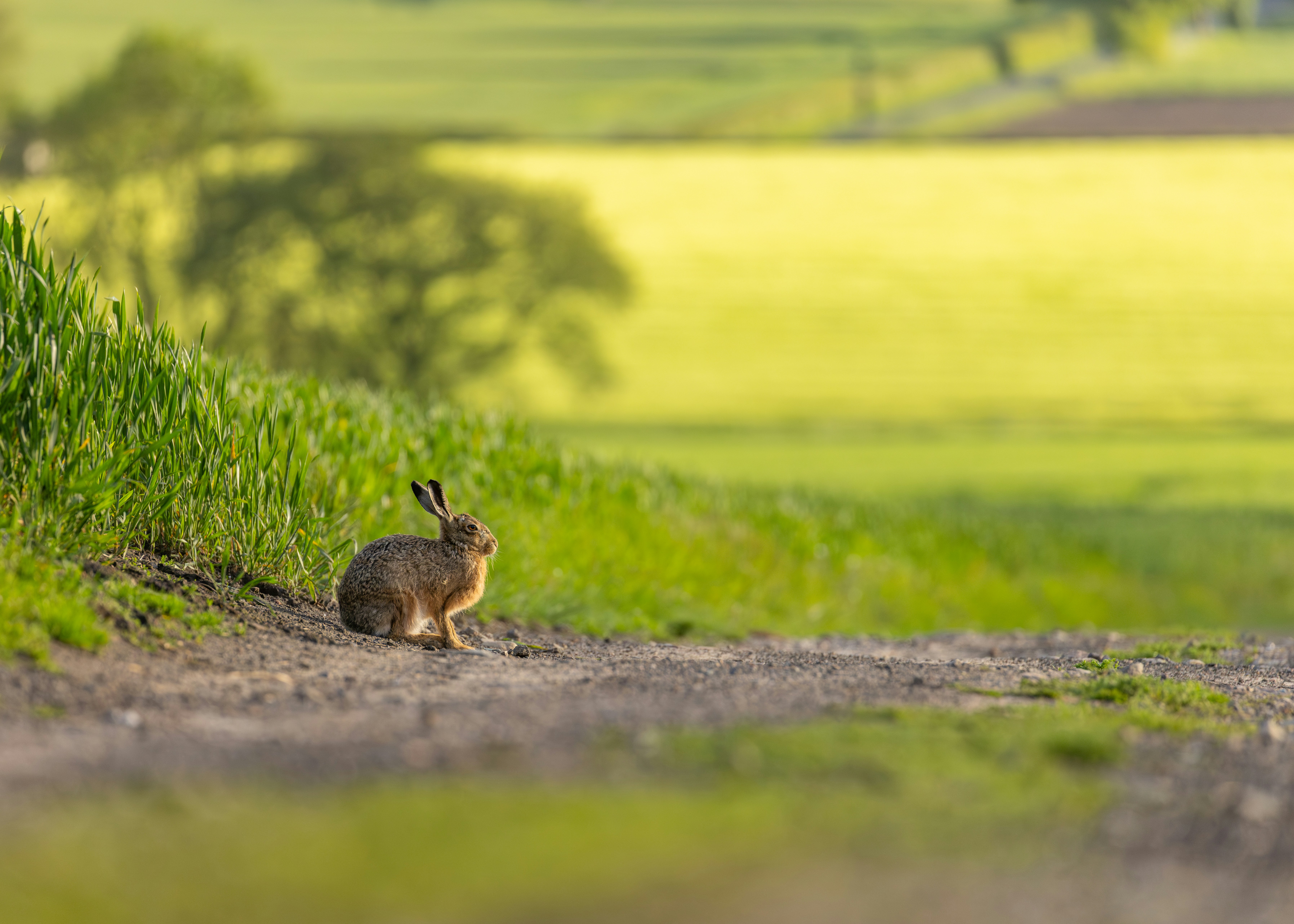 A Quiet Moment on the Riverside Path
